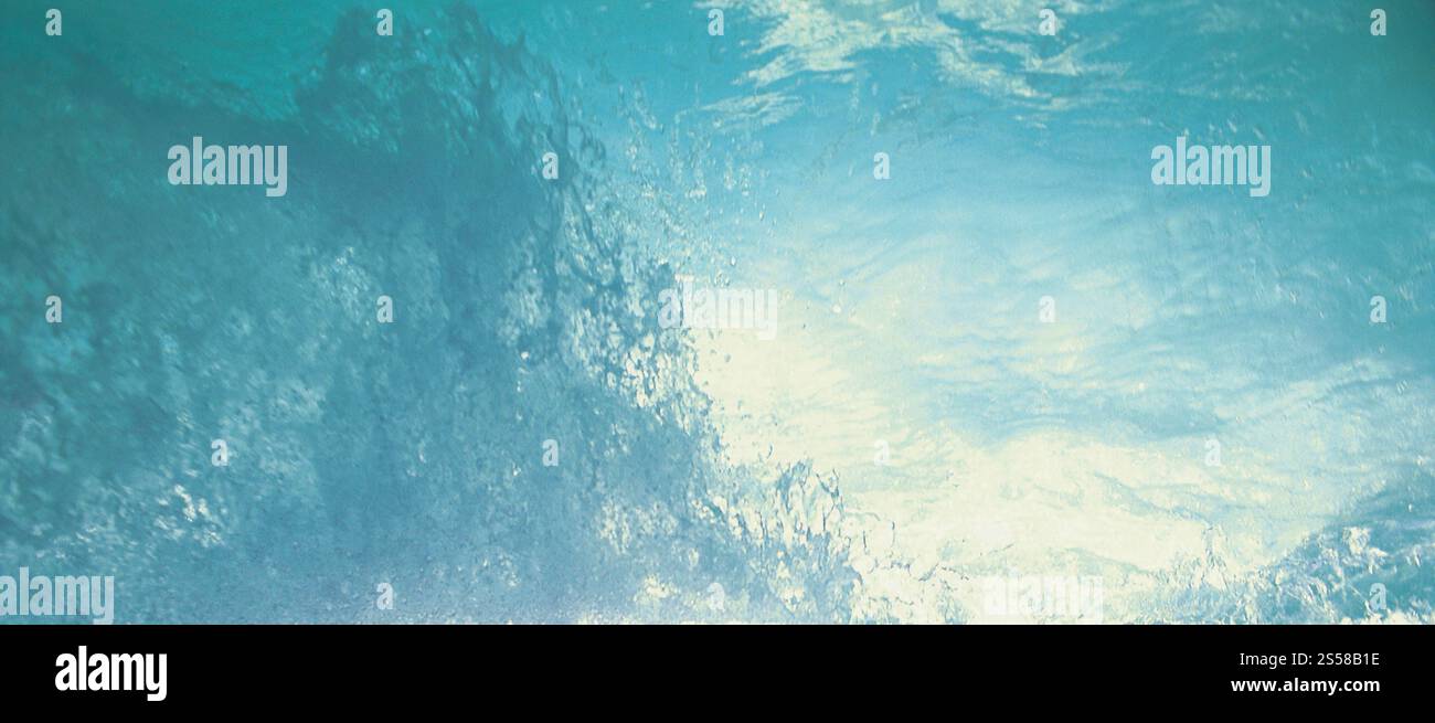 Tropical beach coast underwater view hi-res stock photography and ...