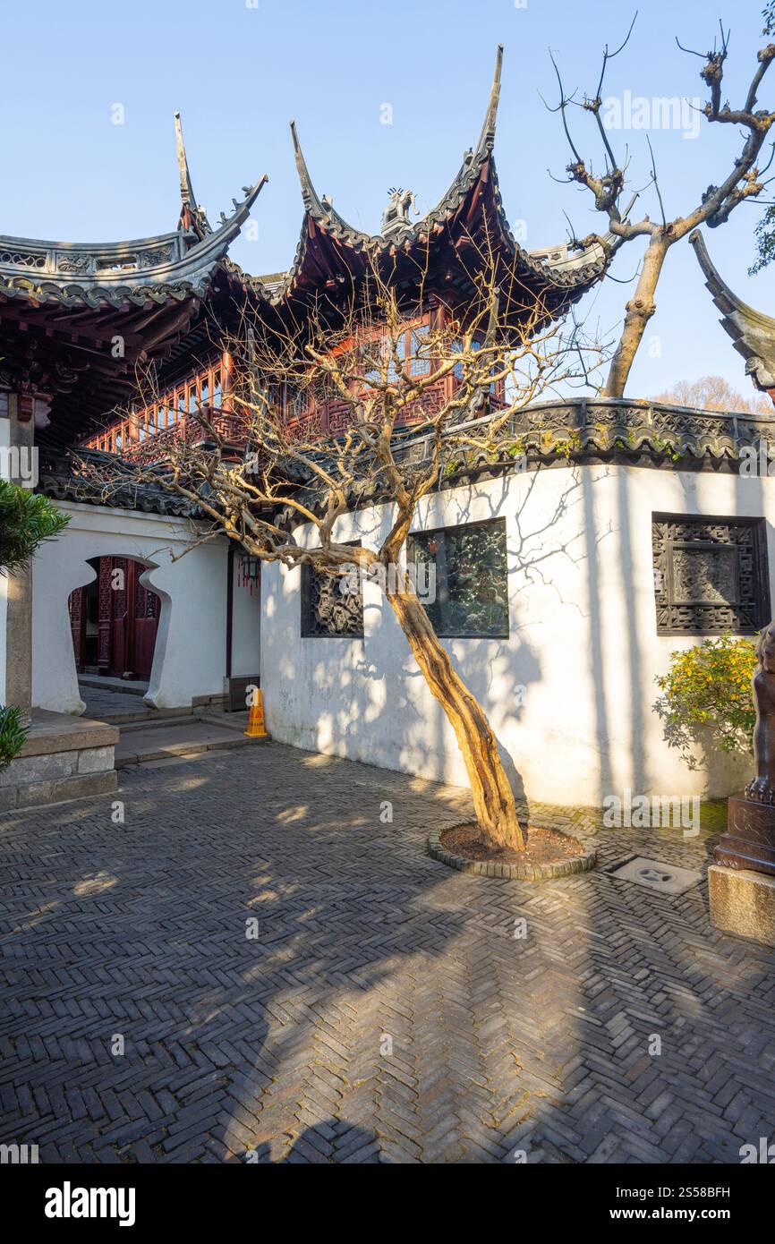 Shanghai, China. January 8, 2025. Internbal view of the architectures ...