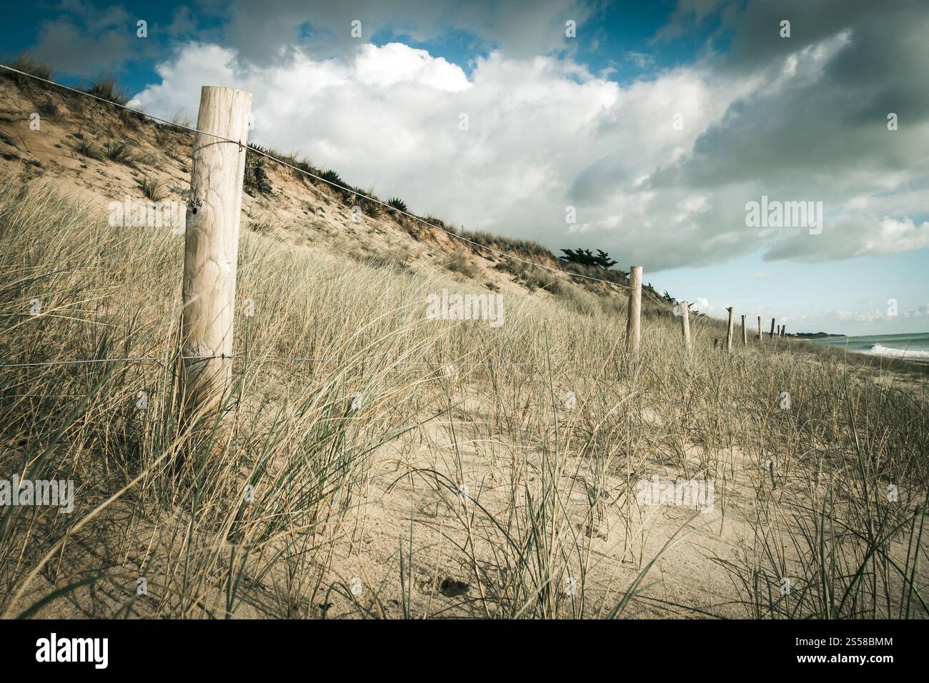 Sand dune and fence on a beach, Re Island, France. Cloudy background ...