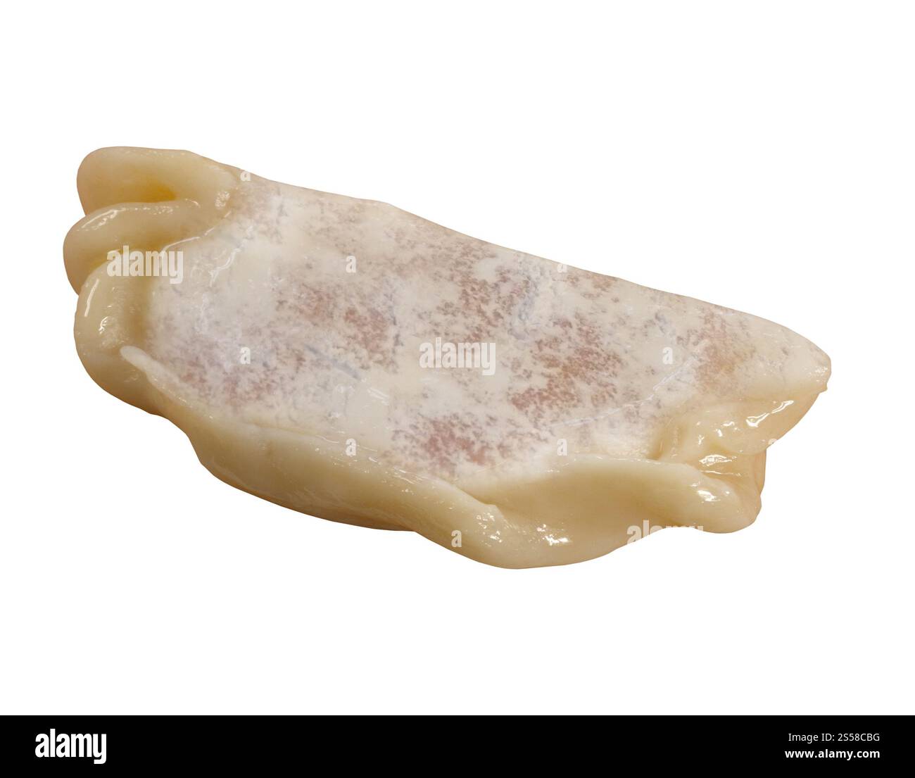 Traditional japanese dumplings gyoza hi-res stock photography and ...