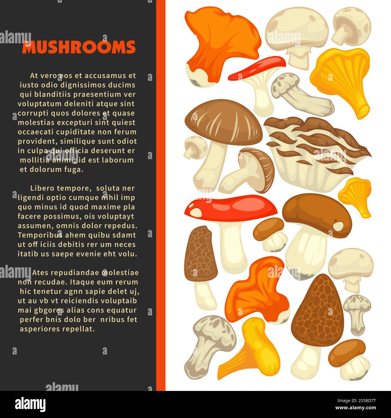 Ripe forest mushrooms of all edible species on promotional poster with ...