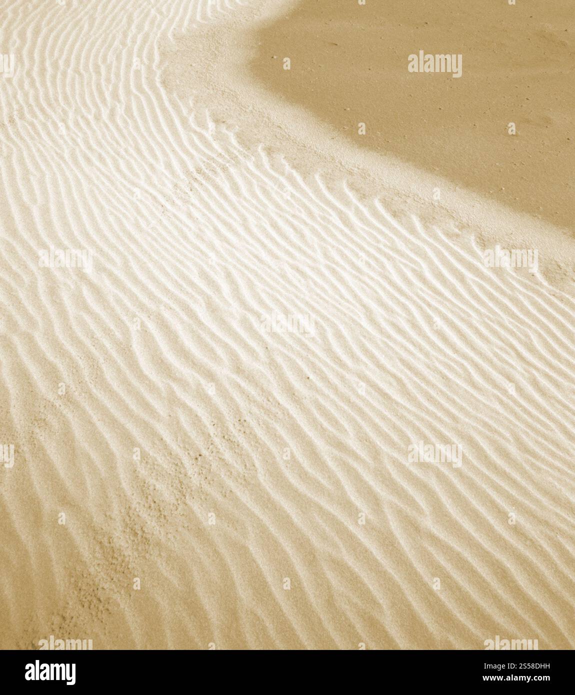 Sand in the desert Stock Photo - Alamy