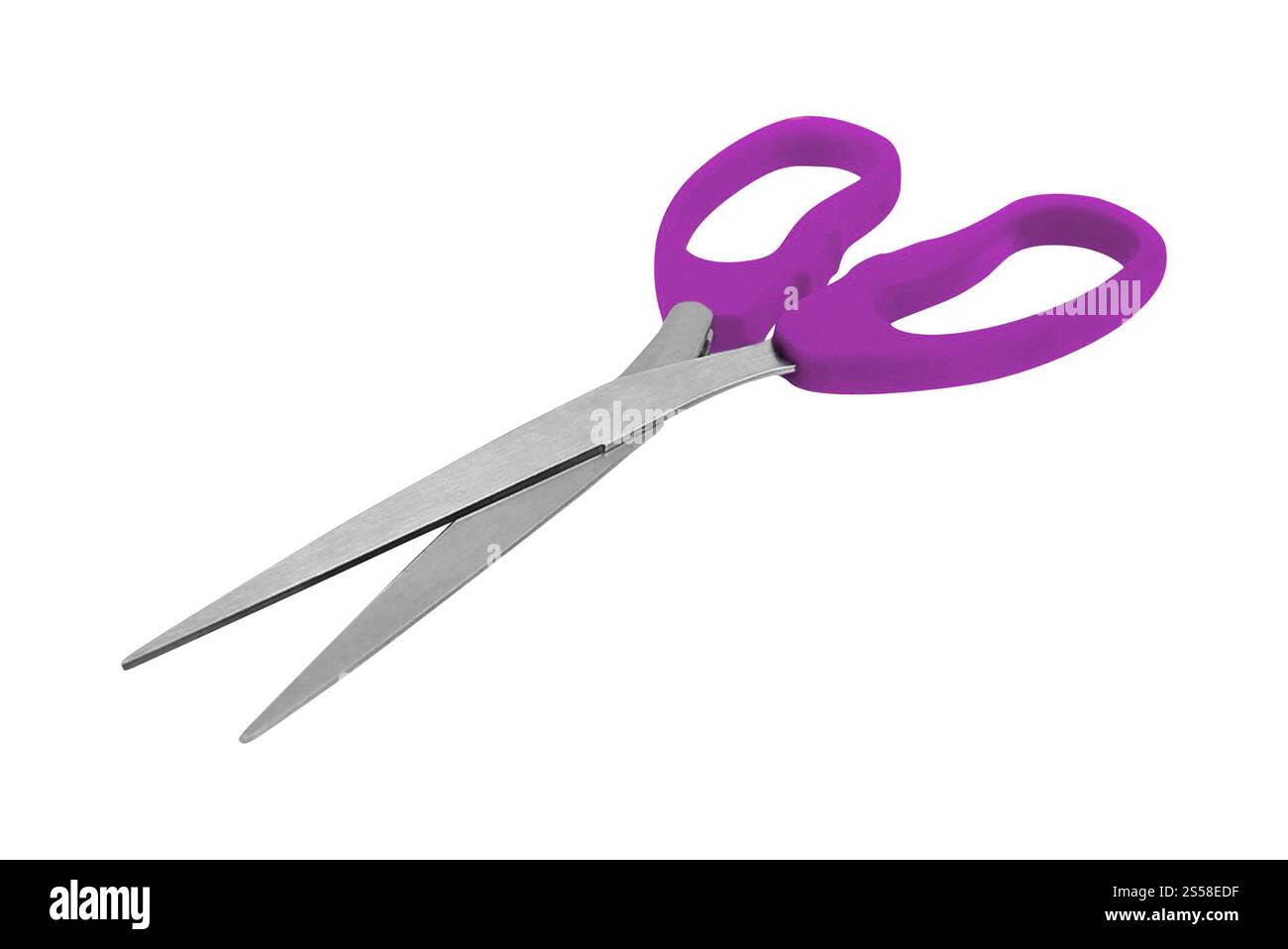 Purple Scissors Isolated On White Background Stock Photo - Alamy