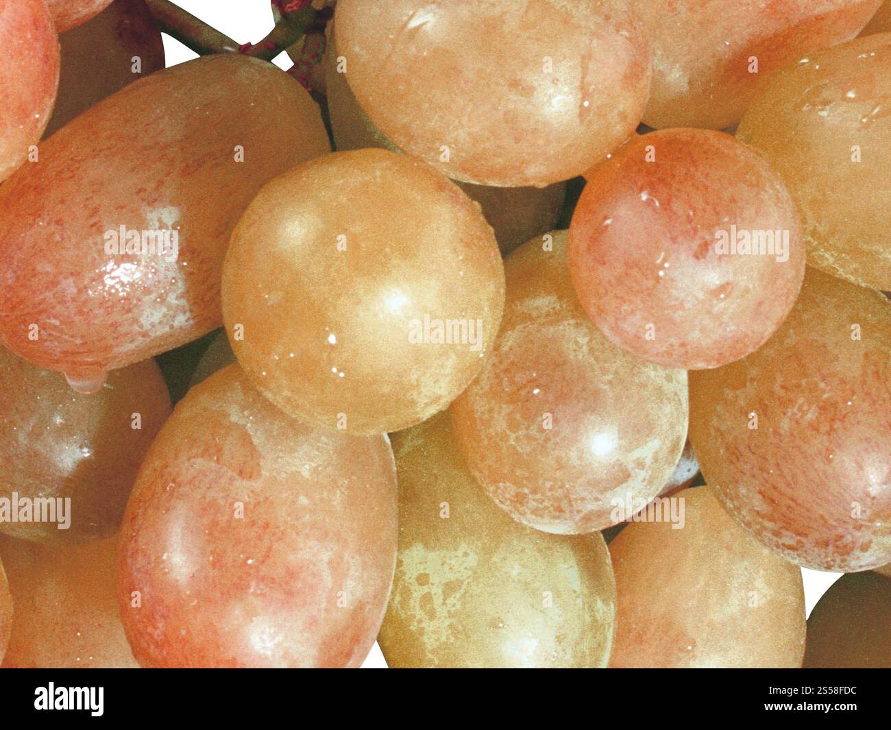 Flat lay white grapes hi-res stock photography and images - Alamy