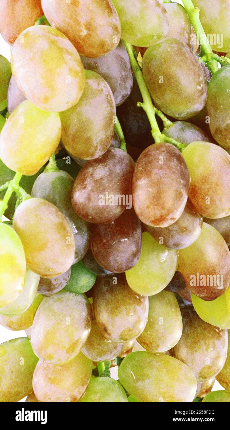 Grapes top view hi-res stock photography and images - Alamy