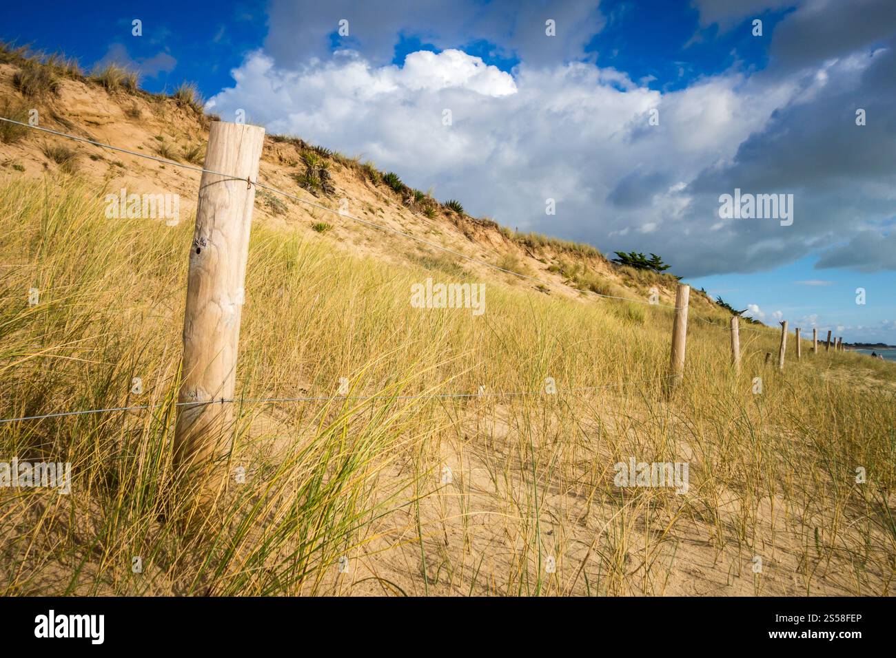 Sand dune and fence on a beach, Re Island, France. Cloudy background ...