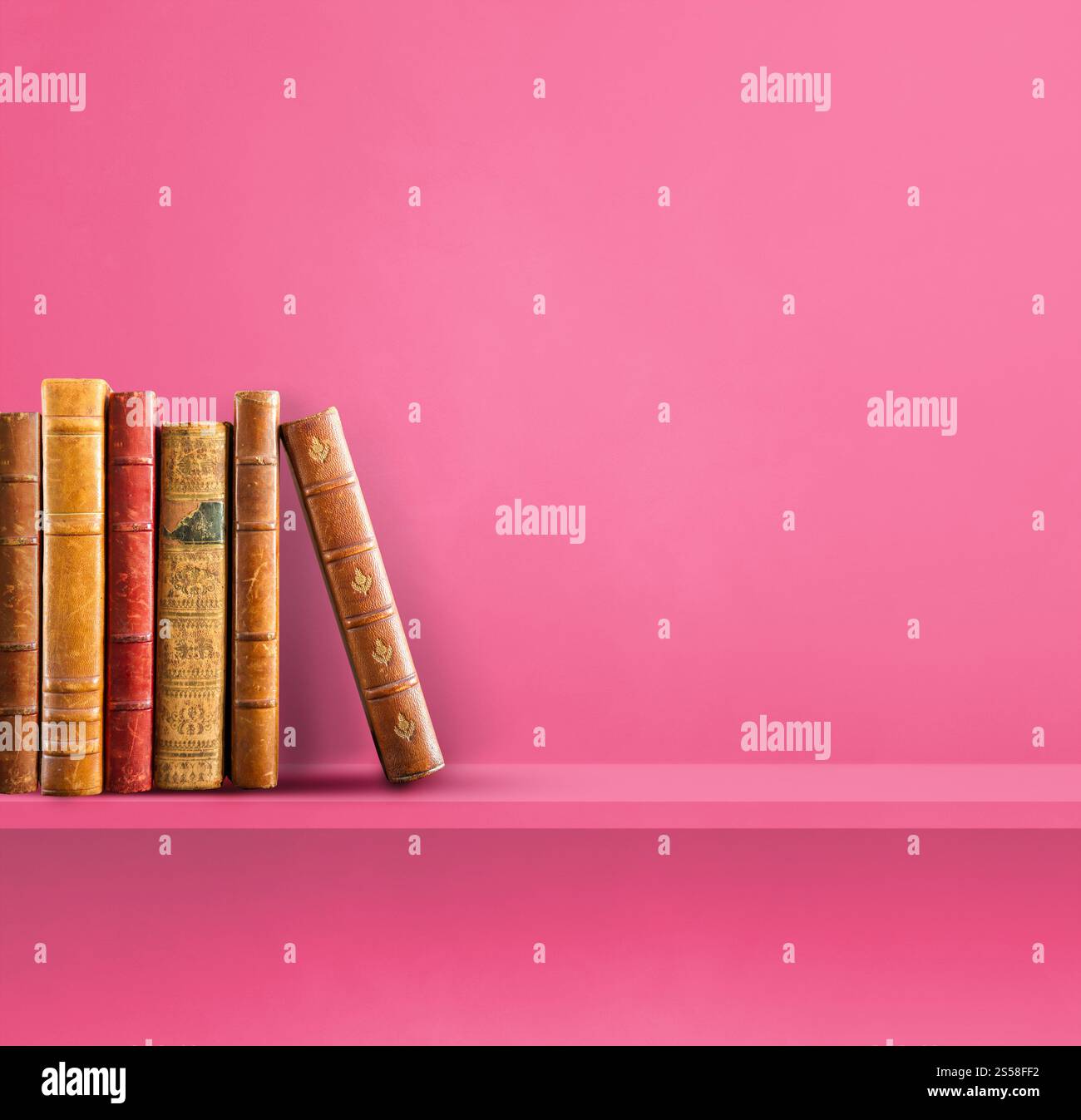 Row of old books on pink shelf. Square scene background. Row of old ...