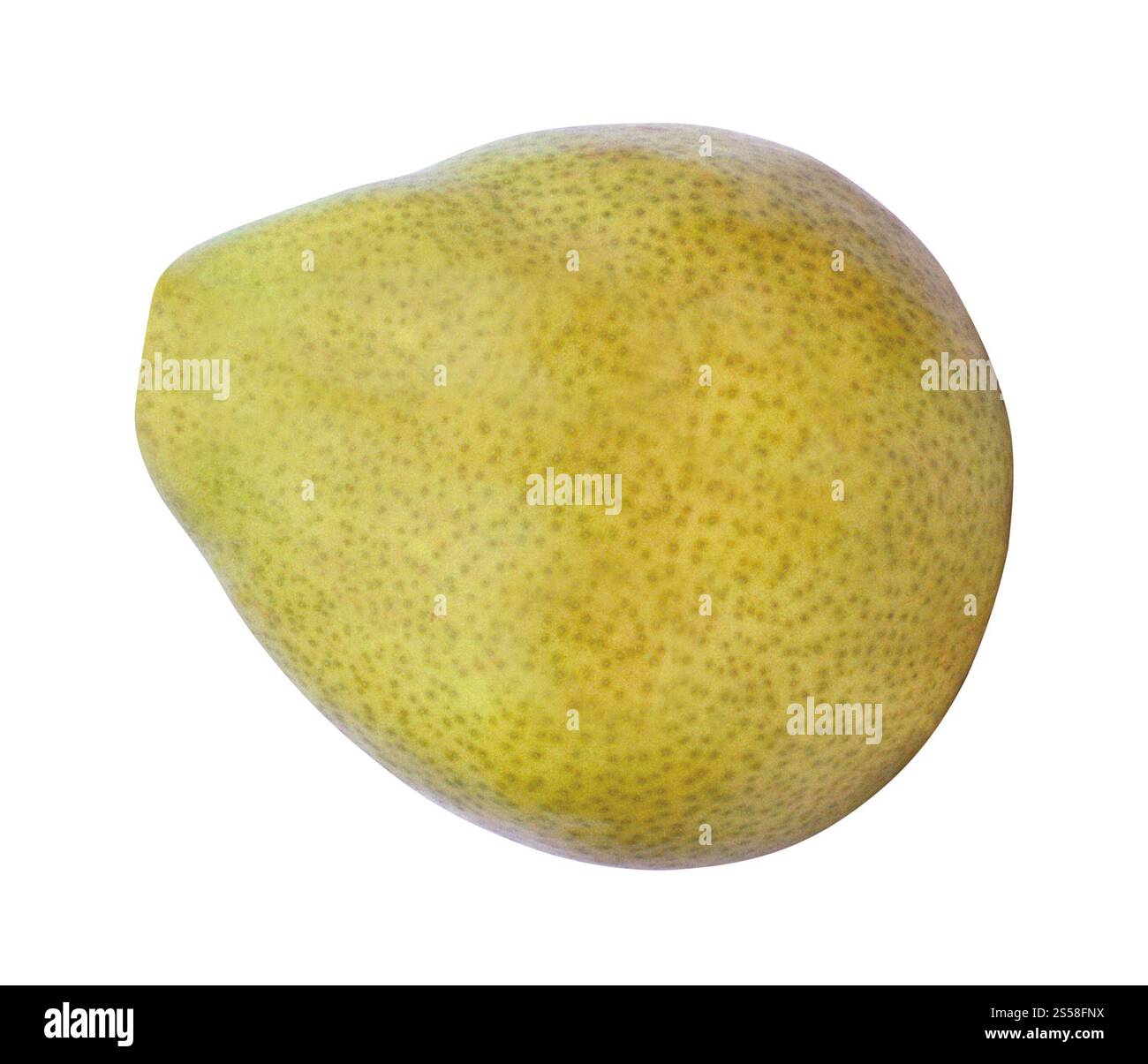 green pear isolated Stock Photo - Alamy