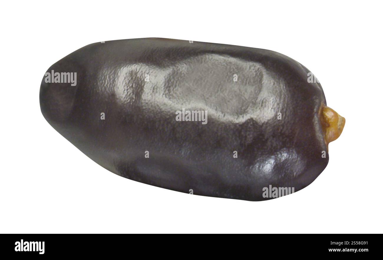 Date fruit isolated on white Stock Photo - Alamy