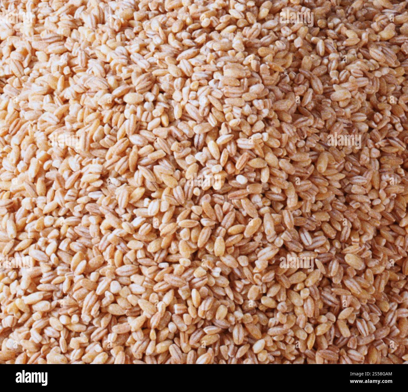 rice background view or texture. rice background view Stock Photo - Alamy