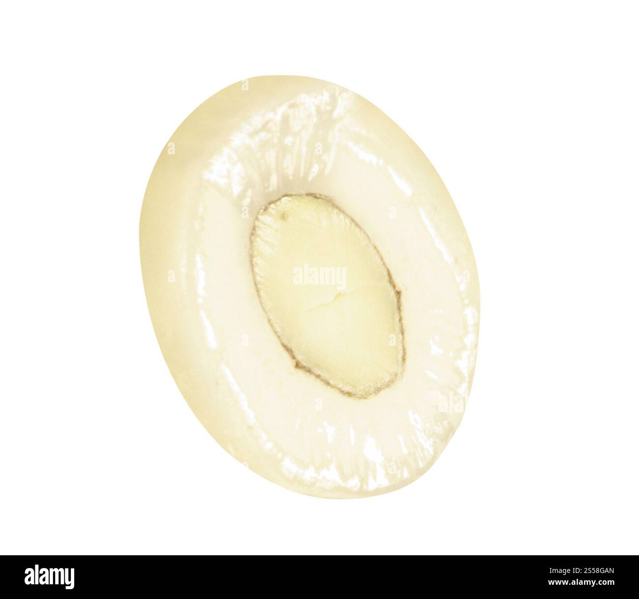 lychee slice isolated on white background Stock Photo - Alamy