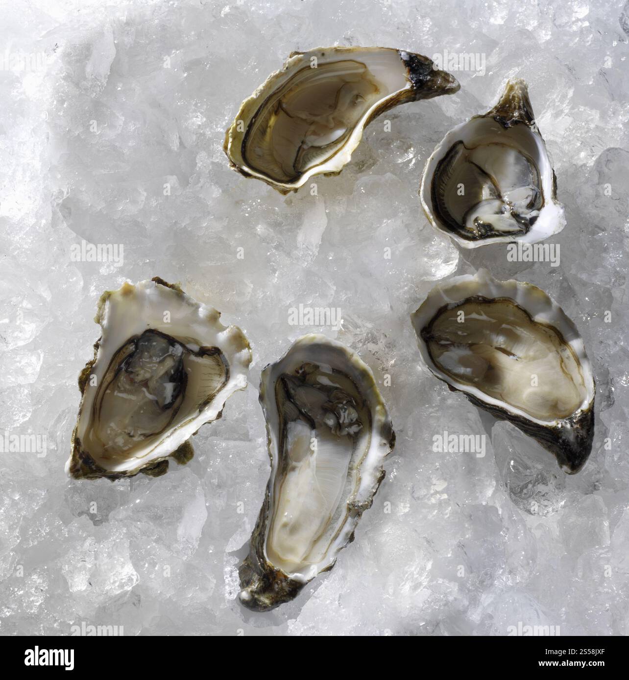 fresh oysters traditional wedding breakfast Stock Photo - Alamy