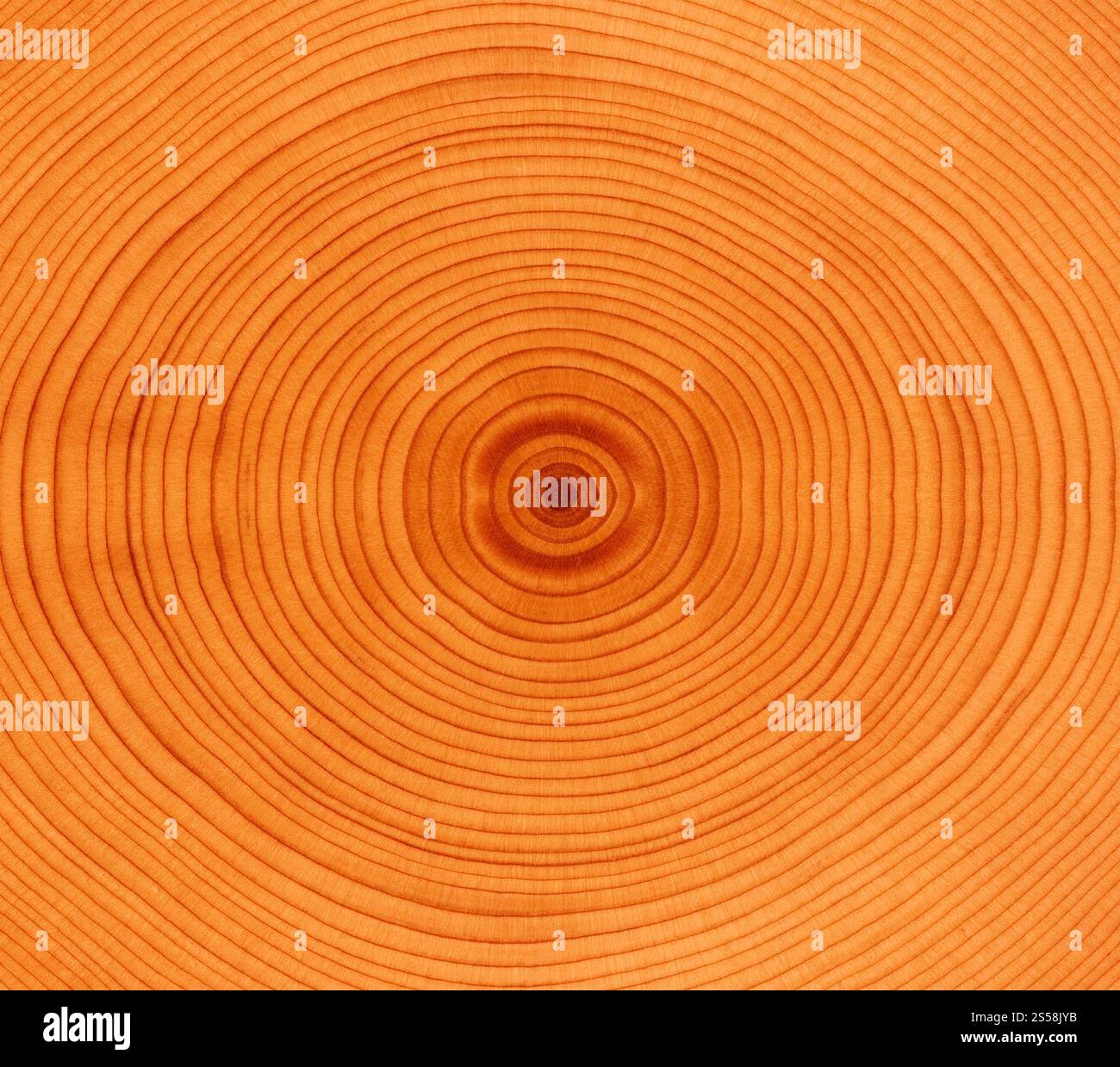 Old firewood texture nice hi-res stock photography and images - Alamy