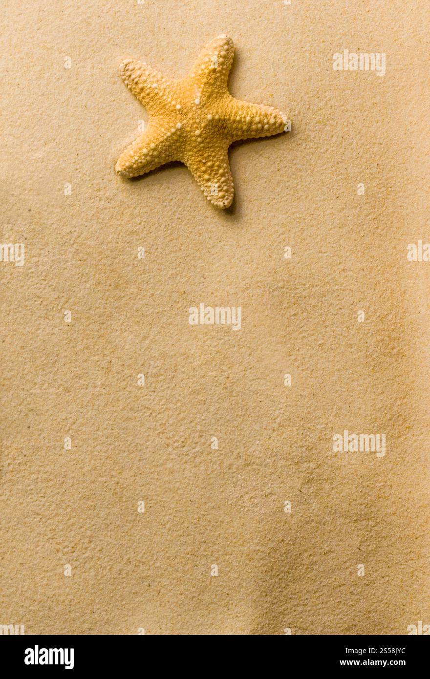 Sunny abstract idyllic coast beach hi-res stock photography and images ...