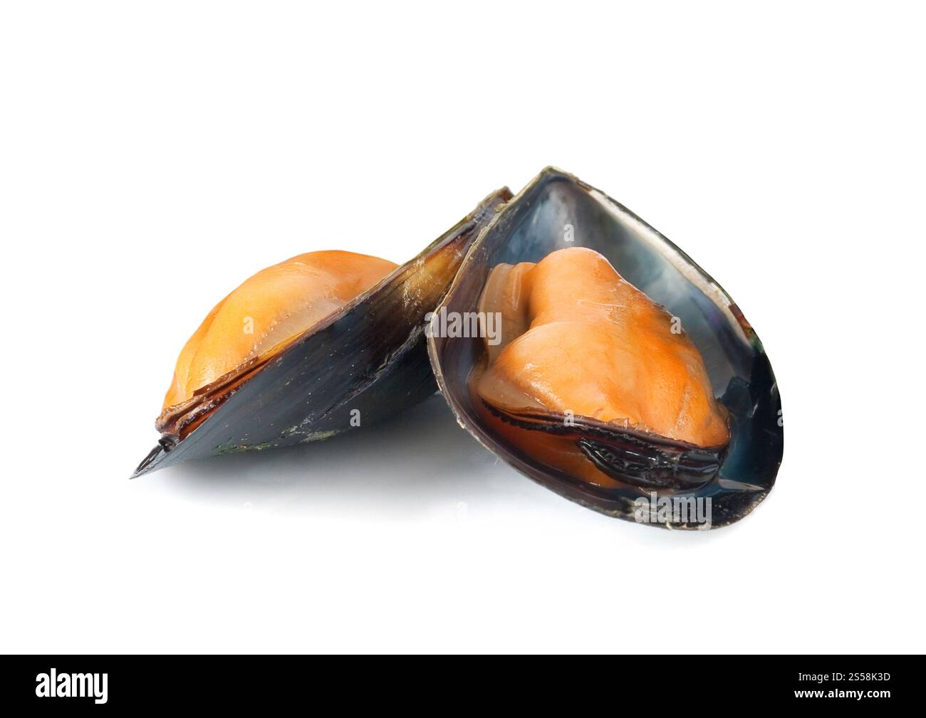 Some mussels just cooked isolated on white background. Some mussels ...