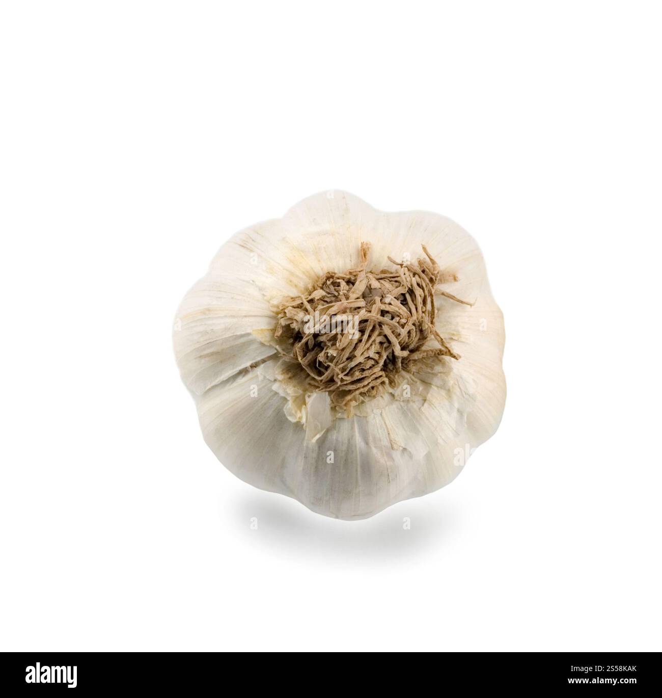 garlic spice isolated on white background. garlic Stock Photo - Alamy