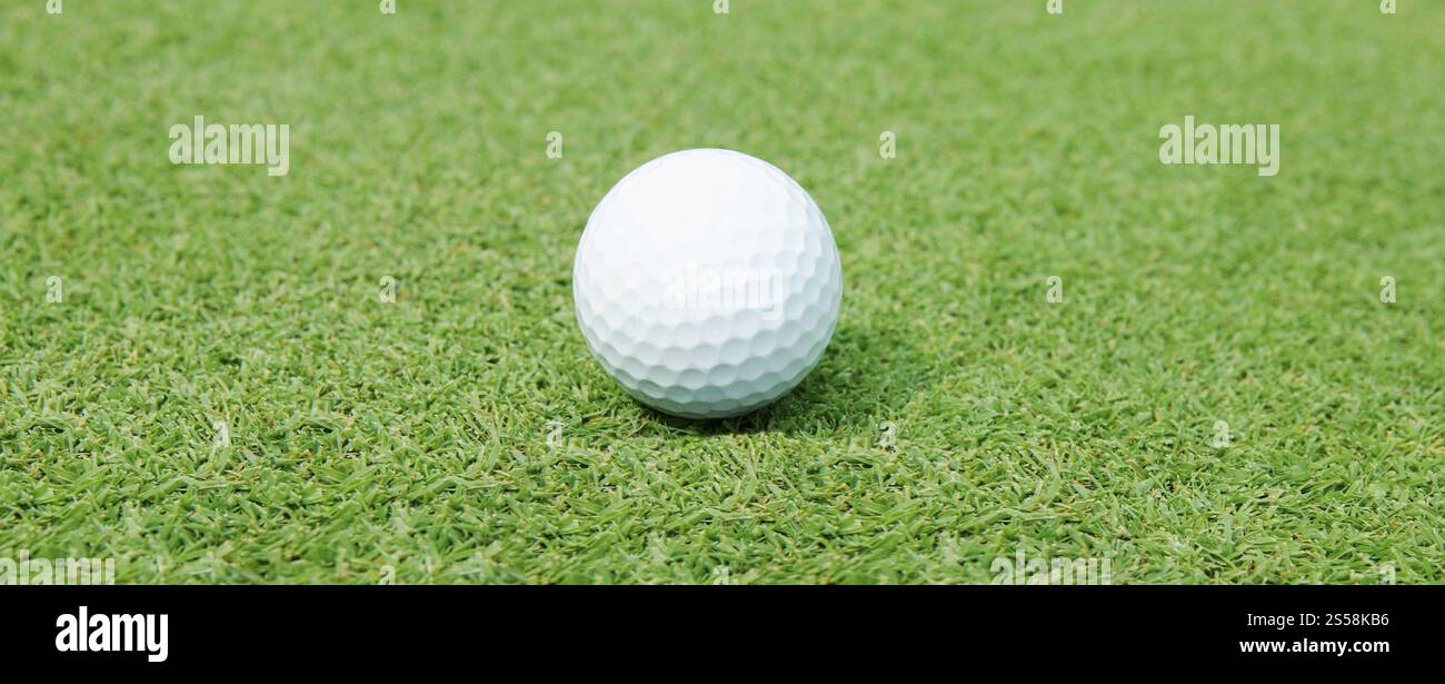 Golf Ball on the Green Grass. Golf Ball Stock Photo - Alamy