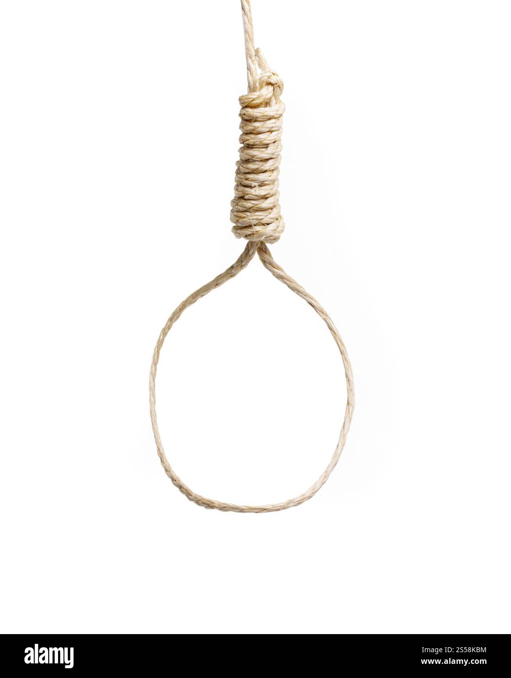 noose isolated on a white background. noose isolated on white Stock ...