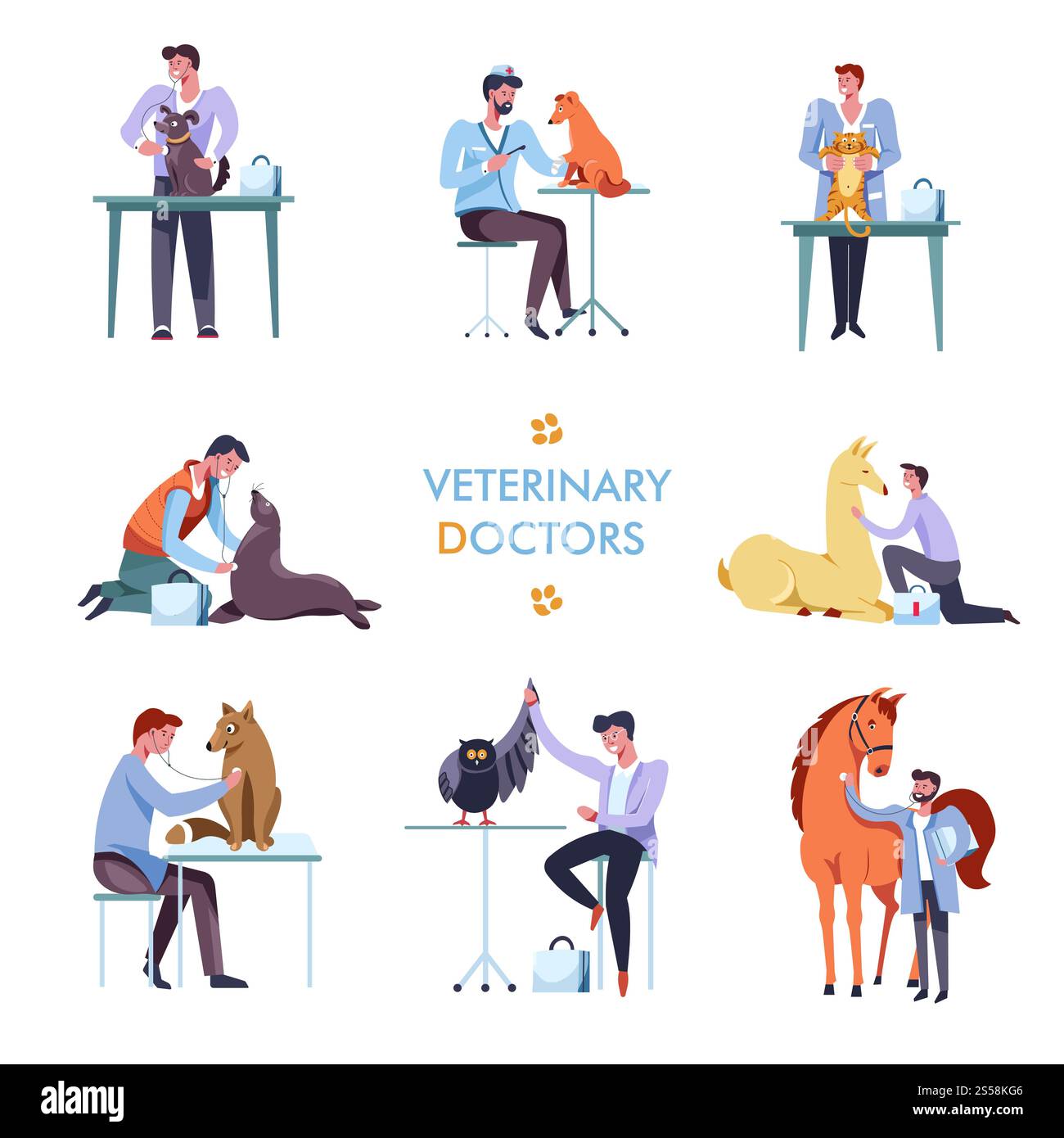 Vet with stethoscope horse Stock Vector Images - Alamy
