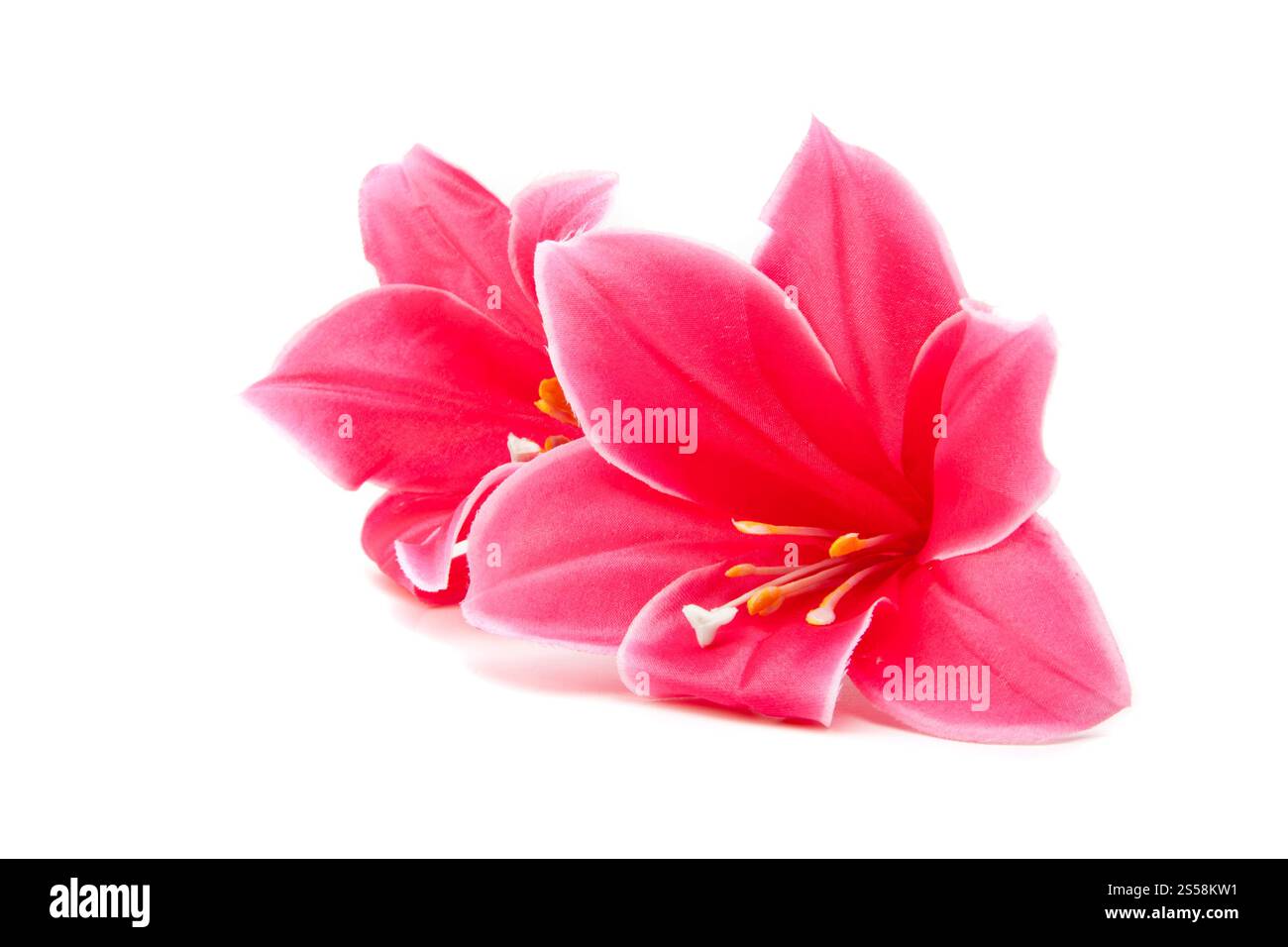 Background delicate beautiful flower Cut Out Stock Images & Pictures ...