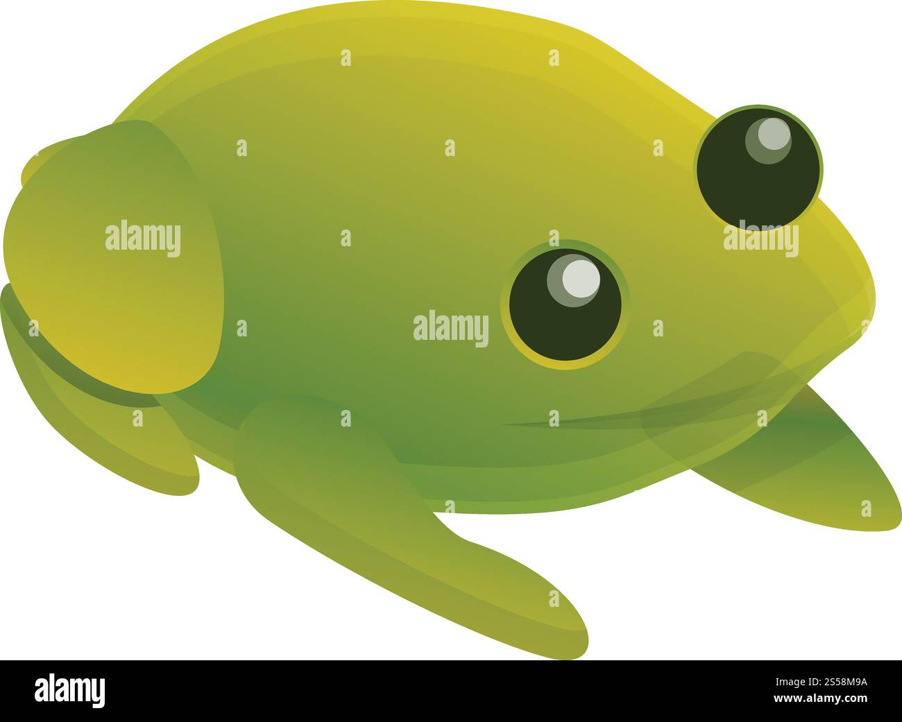 Jungle frog icon. Cartoon of jungle frog vector icon for web design ...