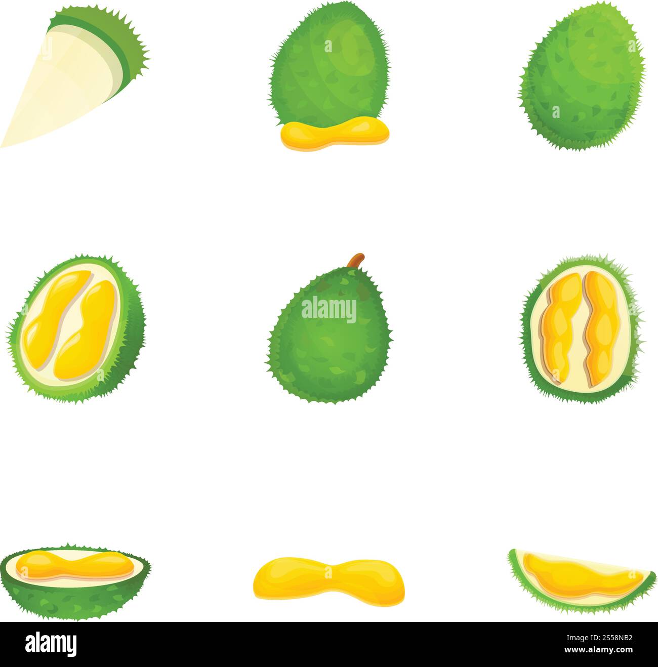 Durian icon set. Cartoon set of 9 durian vector icons for web design ...
