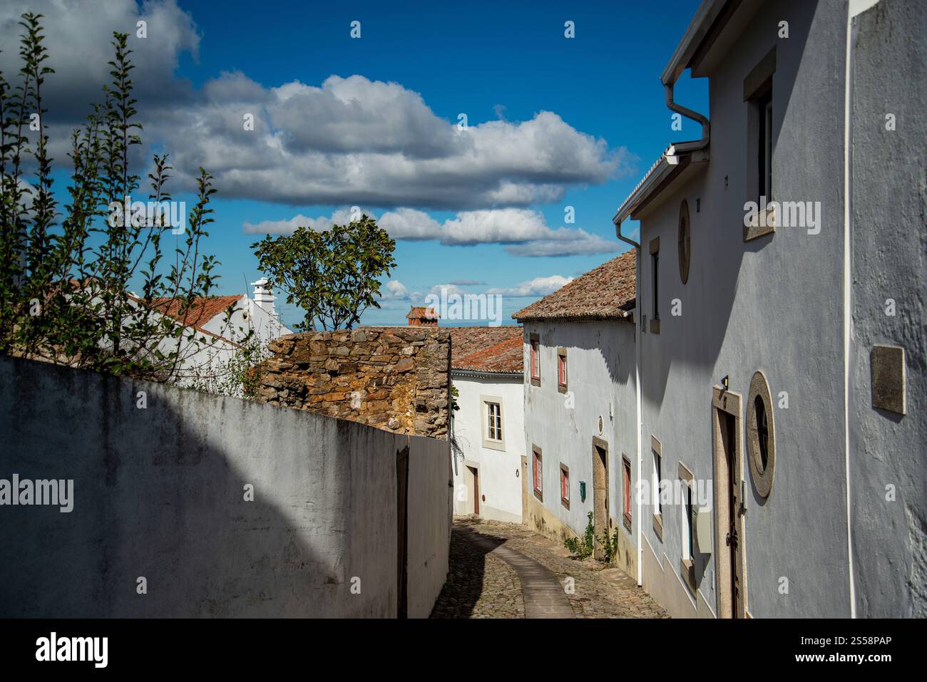 the Castelo at the Village of Monsaraz on the Lago do Alqueva of the ...