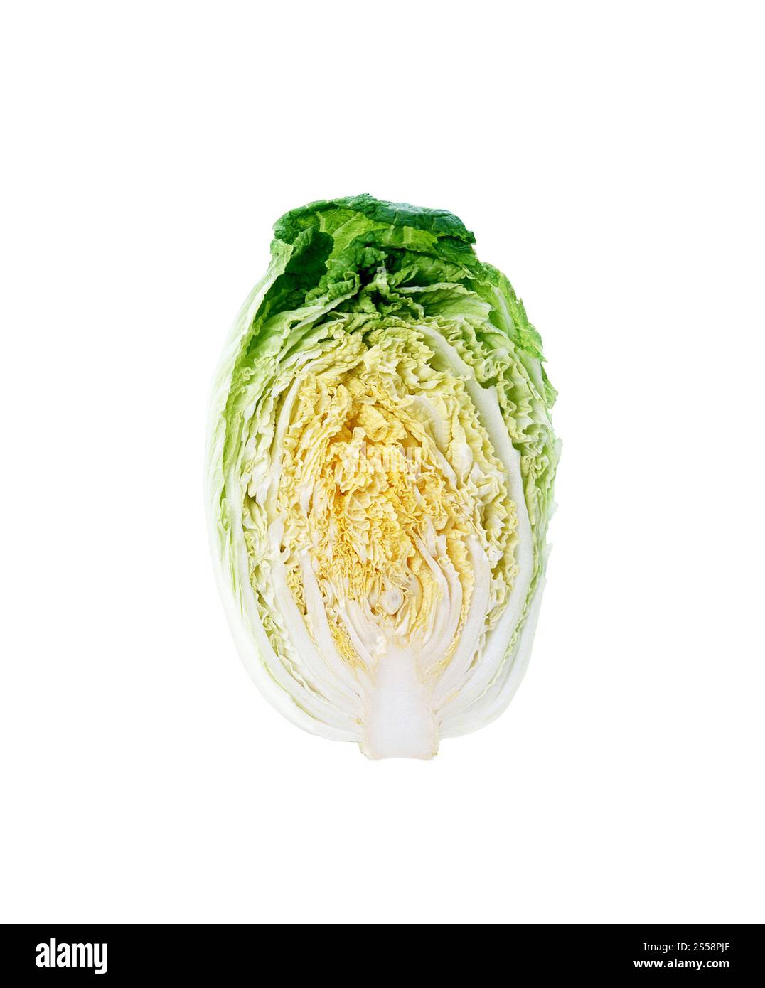 Halved chinese cabbage, clean crossection isolated. Halved chinese ...