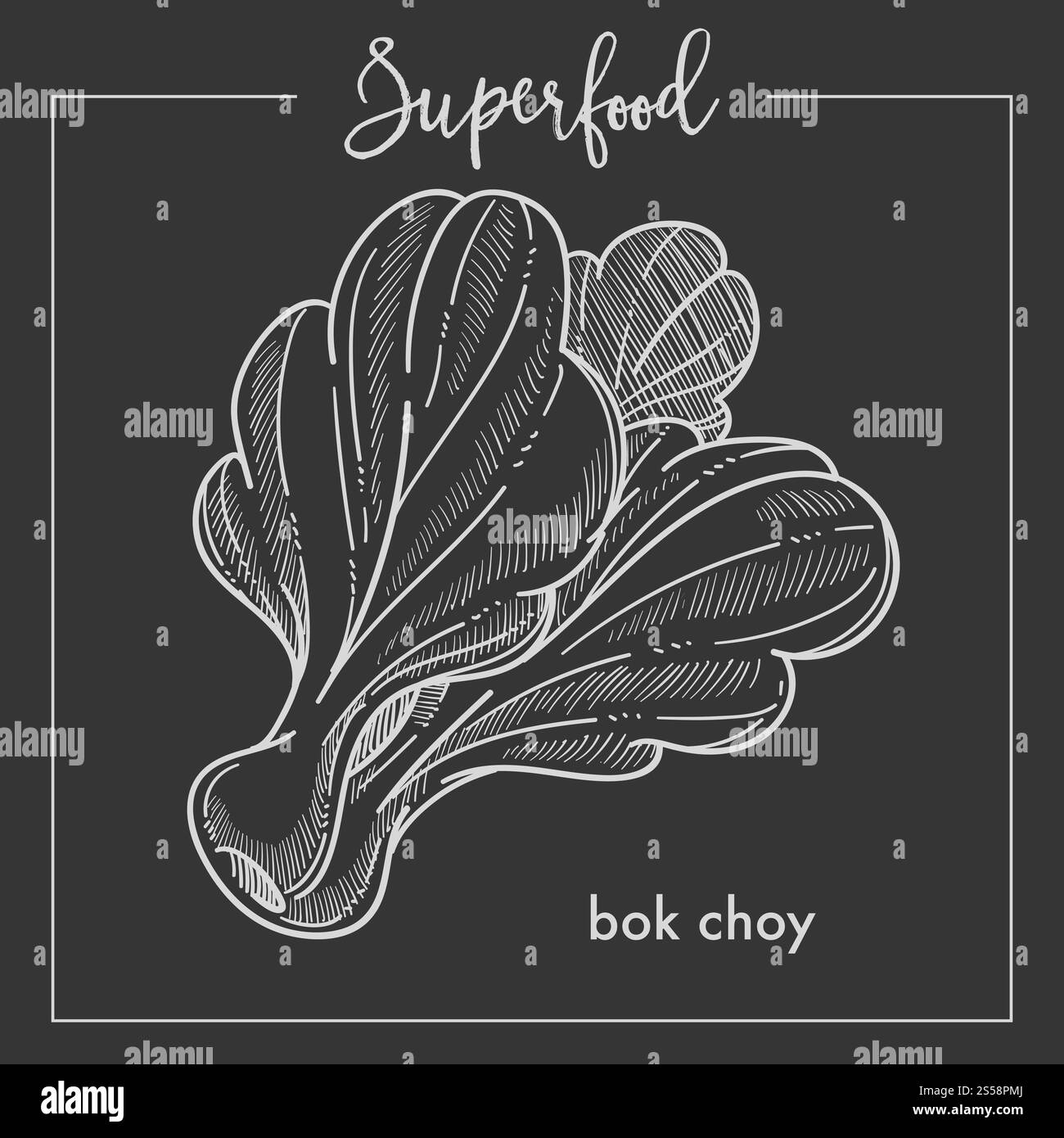 Bak Chay bushy vegetable monochrome superfood sepia sketch. Delicious ...