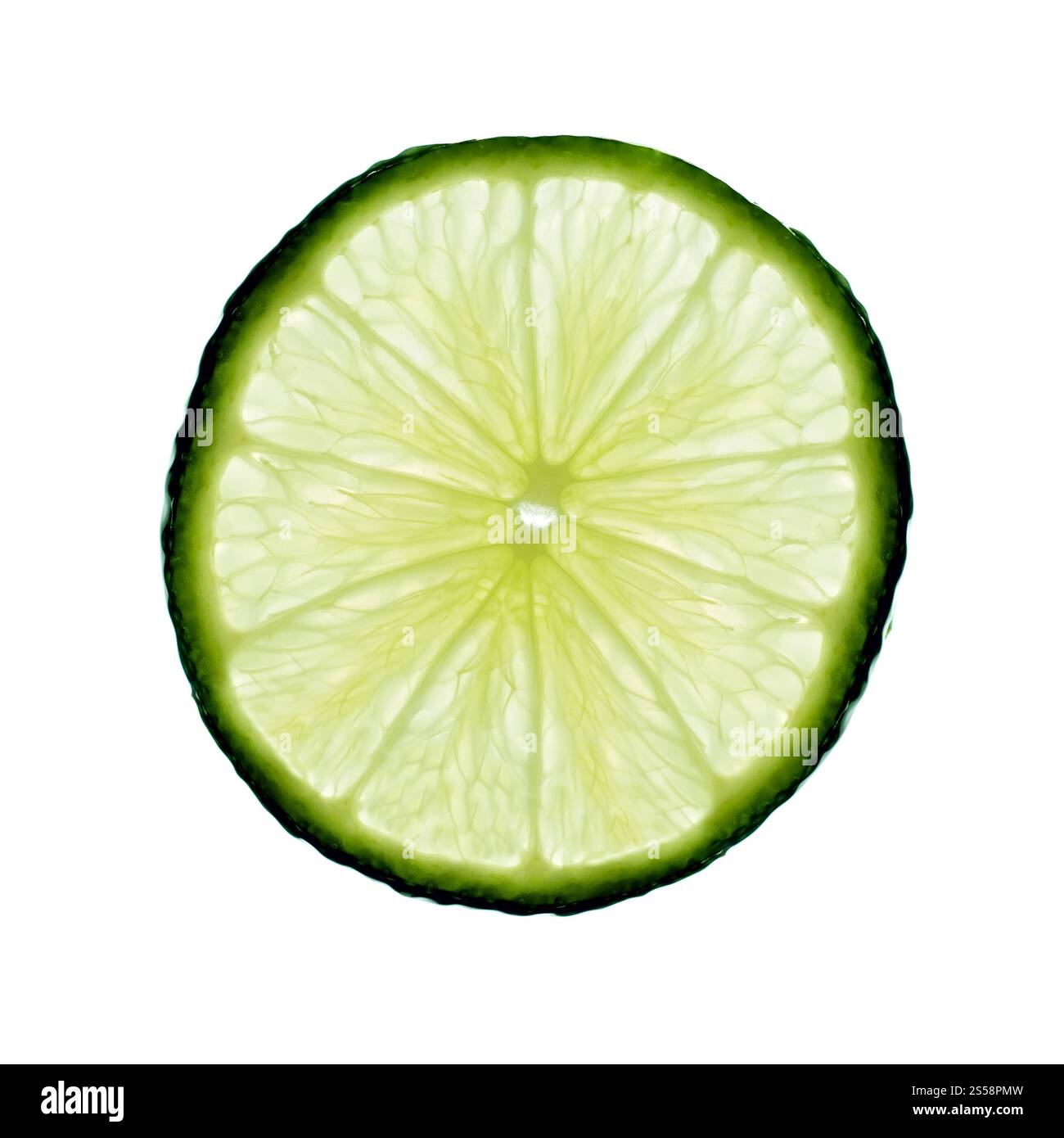 Slice of lime, backlit and isolated on white. Slice of lime - high ...
