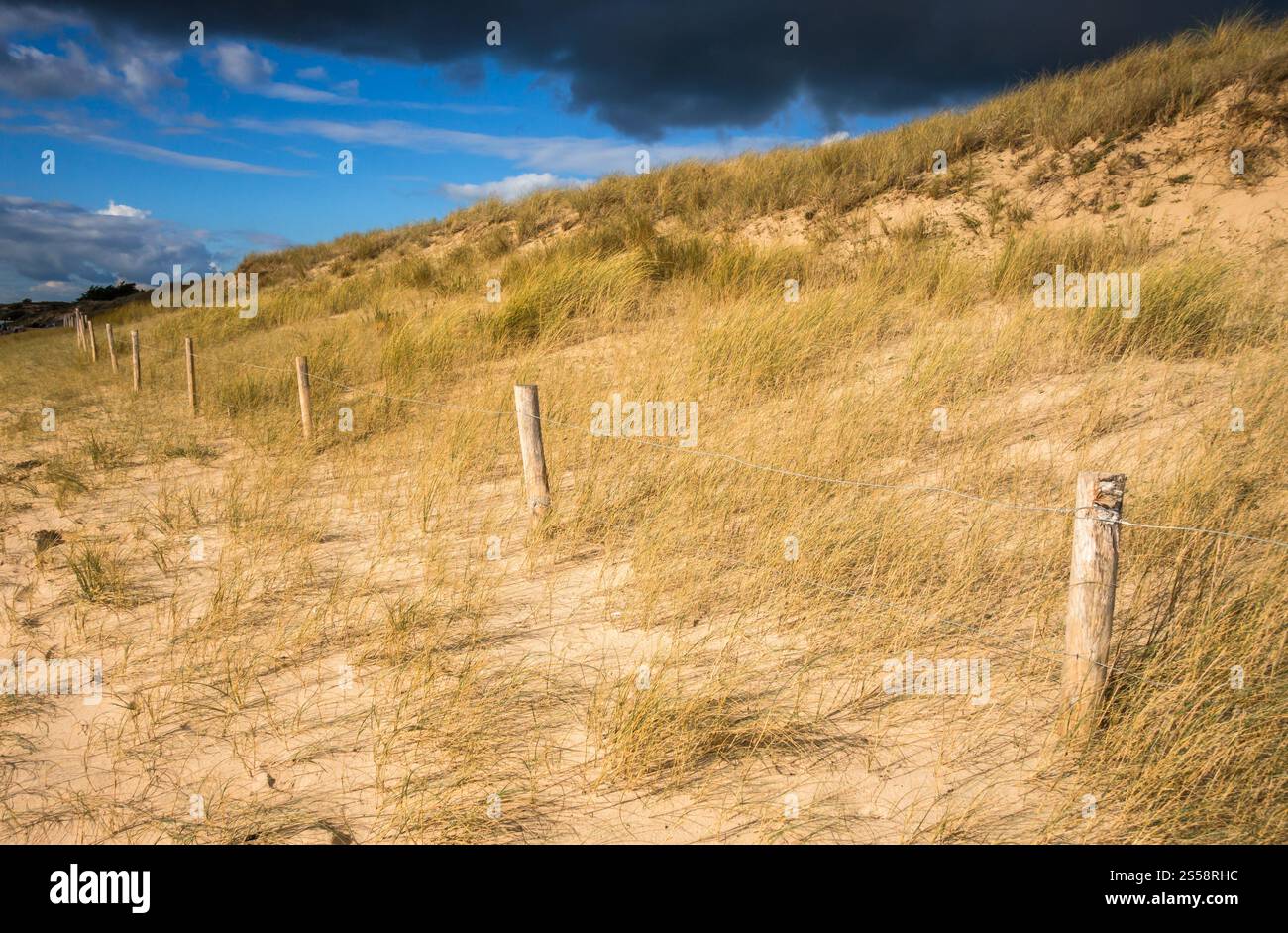 Sand dune and fence on a beach, Re Island, France. Cloudy background ...
