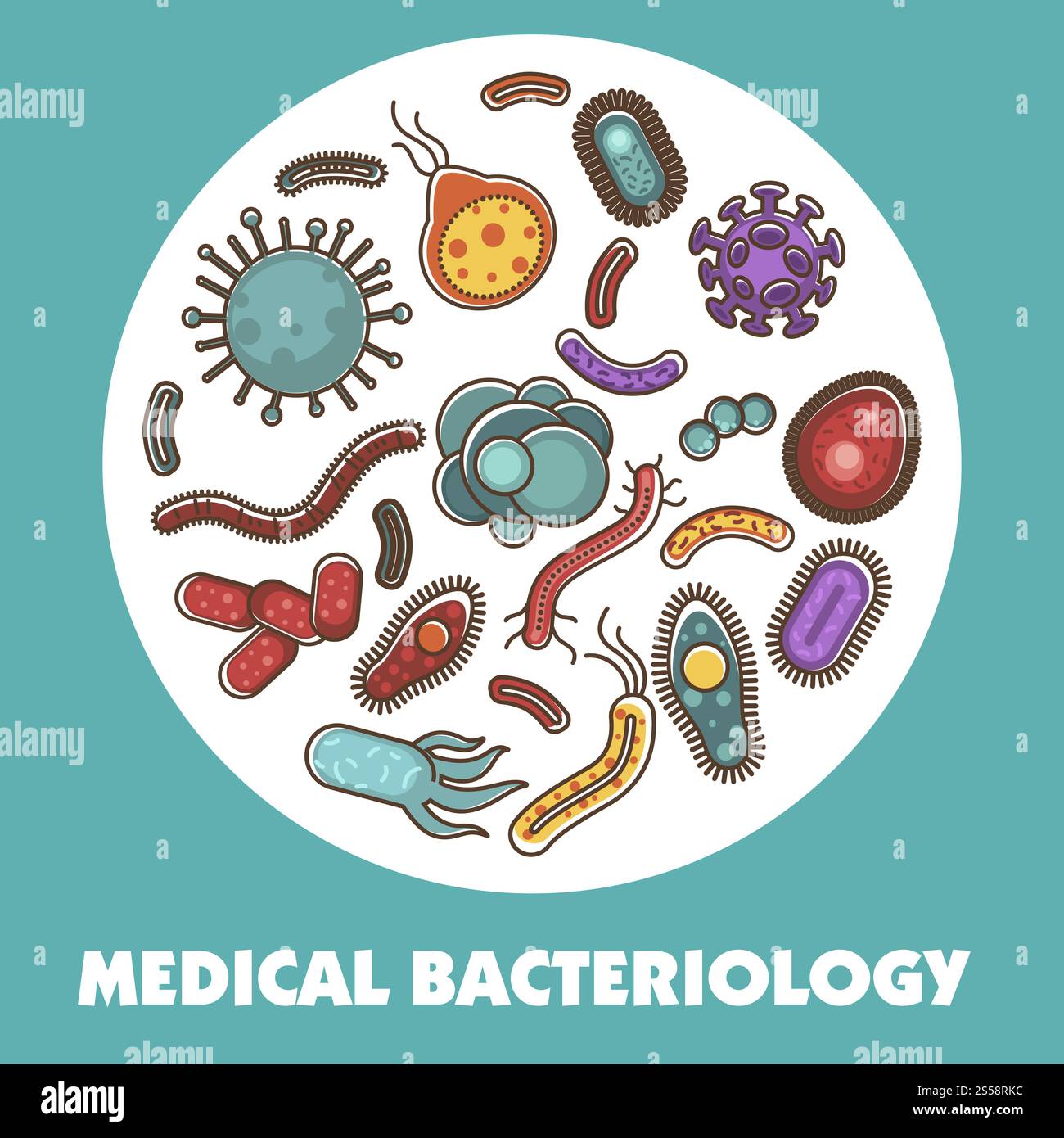 Bacteria and microbes poster for biology study or medical hi-res stock ...