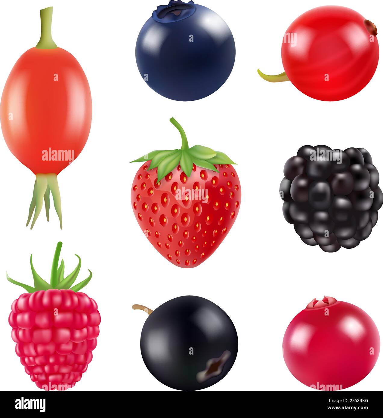 Set of berries. Realistic pictures of fresh fruits and berries isolate ...