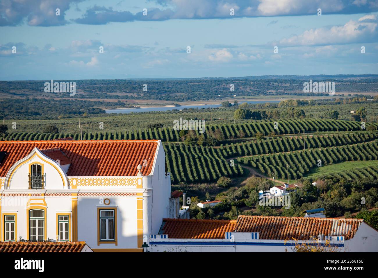 Agriculture in portugal hi-res stock photography and images - Alamy