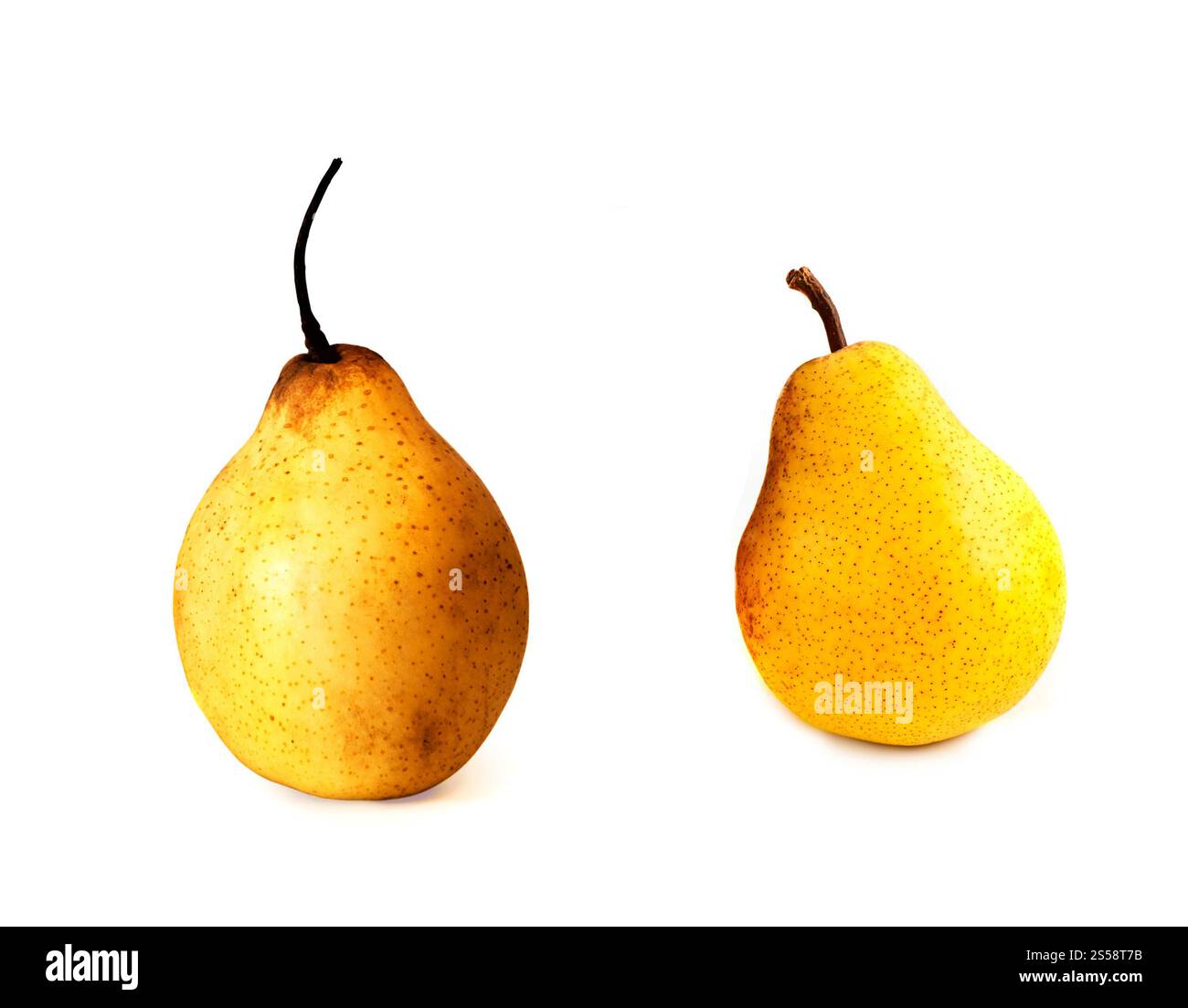 Juicy yellow pears on hi-res stock photography and images - Alamy