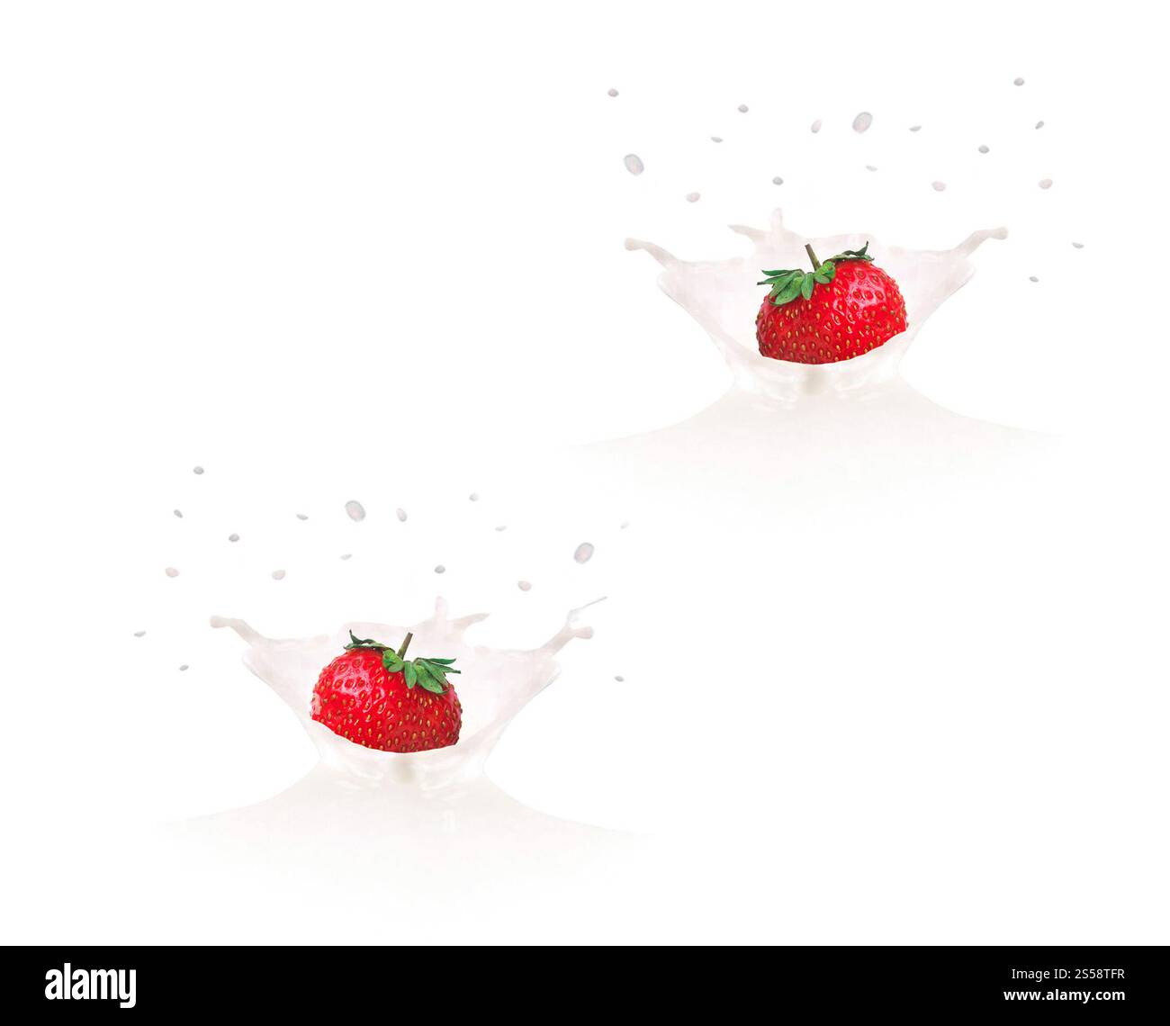 Strawberry falling into milk isolated on white background. Strawberry ...