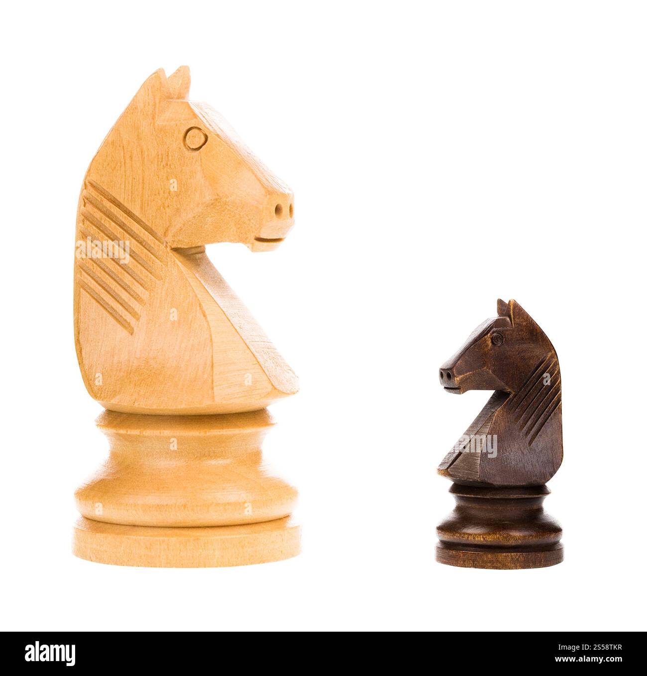 Chess knights isolated on white background - concept. Chess knights ...