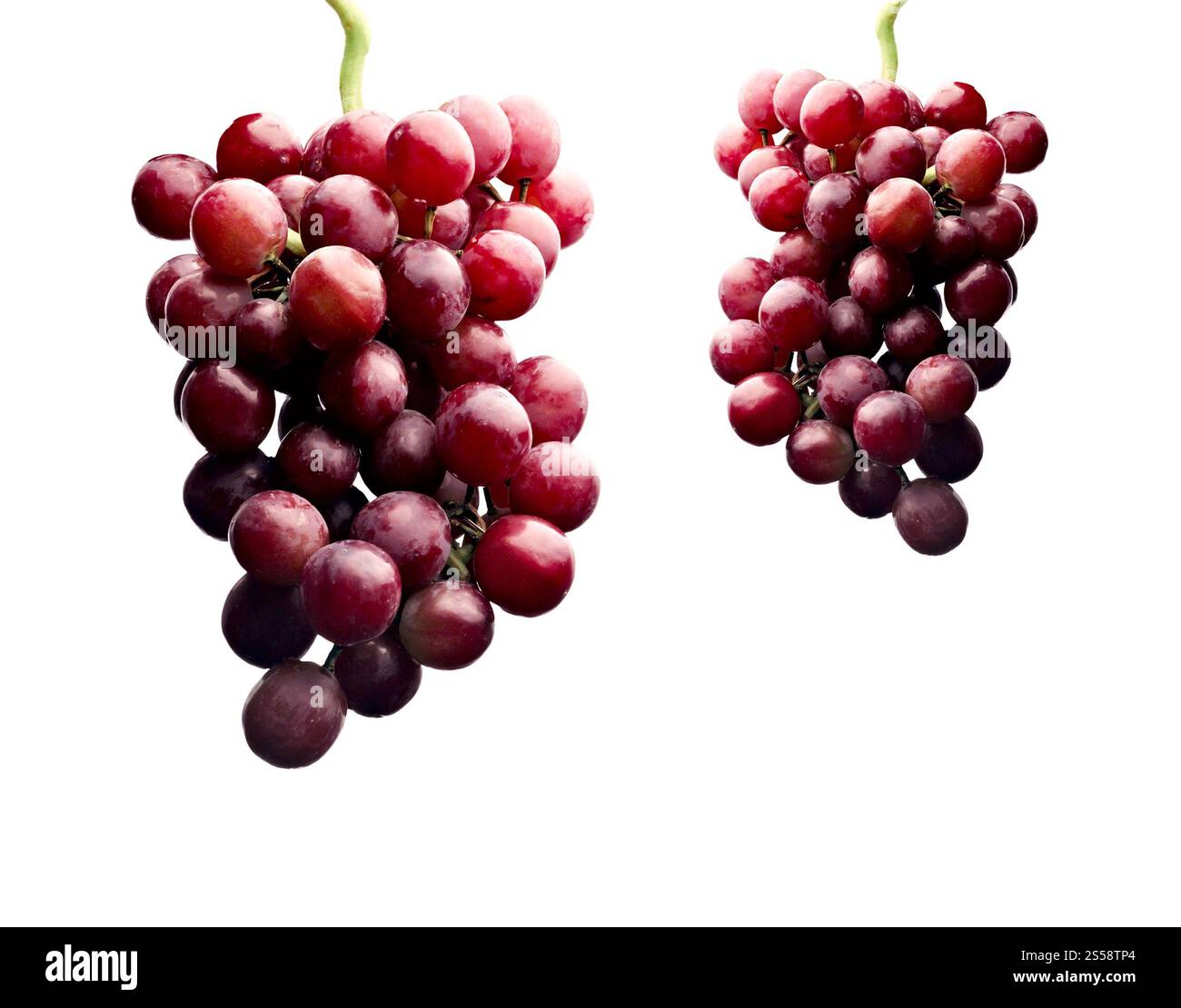 Plant cluster close up hi-res stock photography and images - Alamy