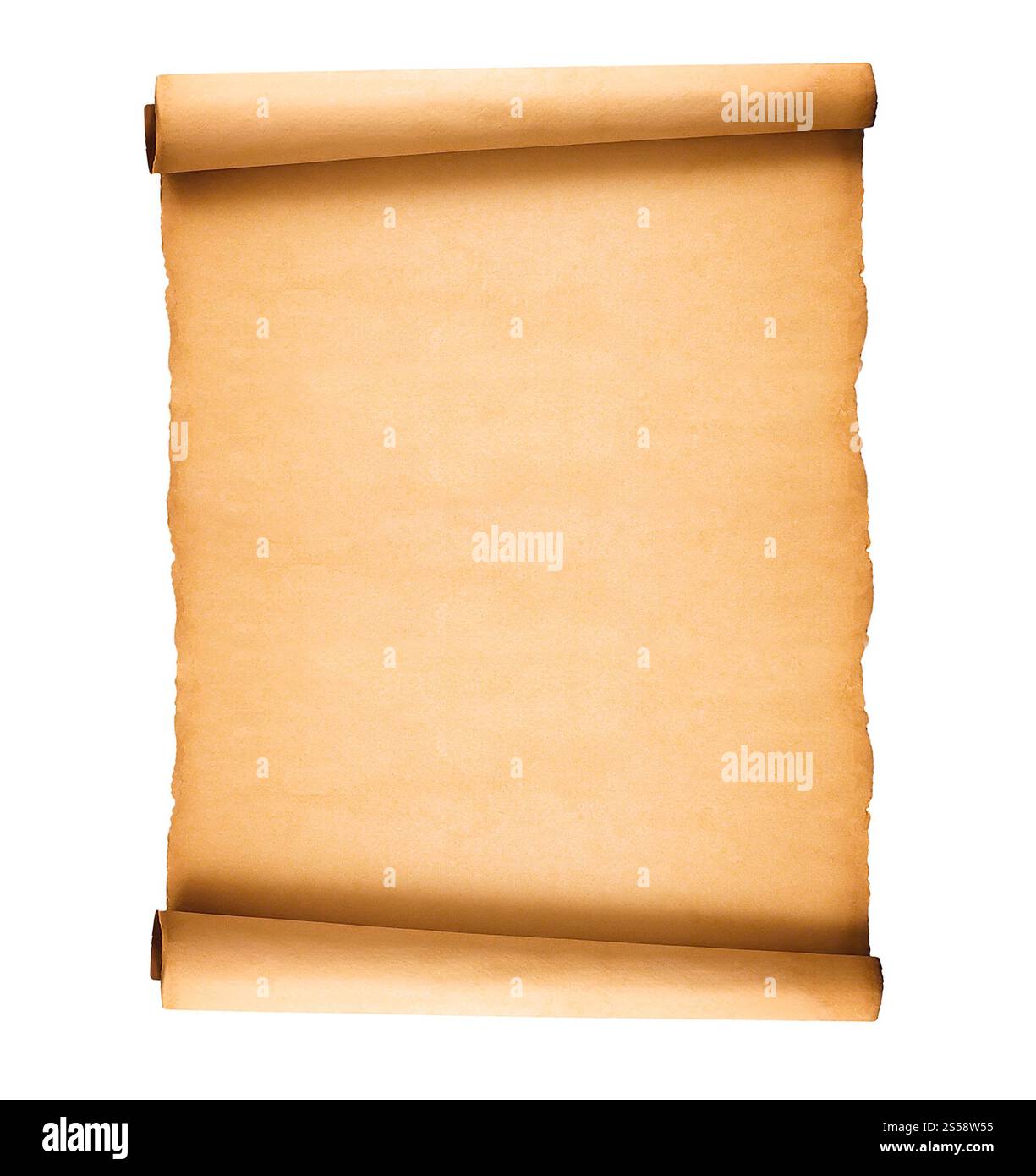 scrolled old paper isolated on white background. scrolled old paper ...