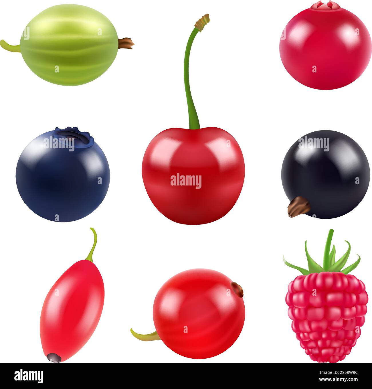 Realistic pictures of berries. Various fresh fruits blackberry ...