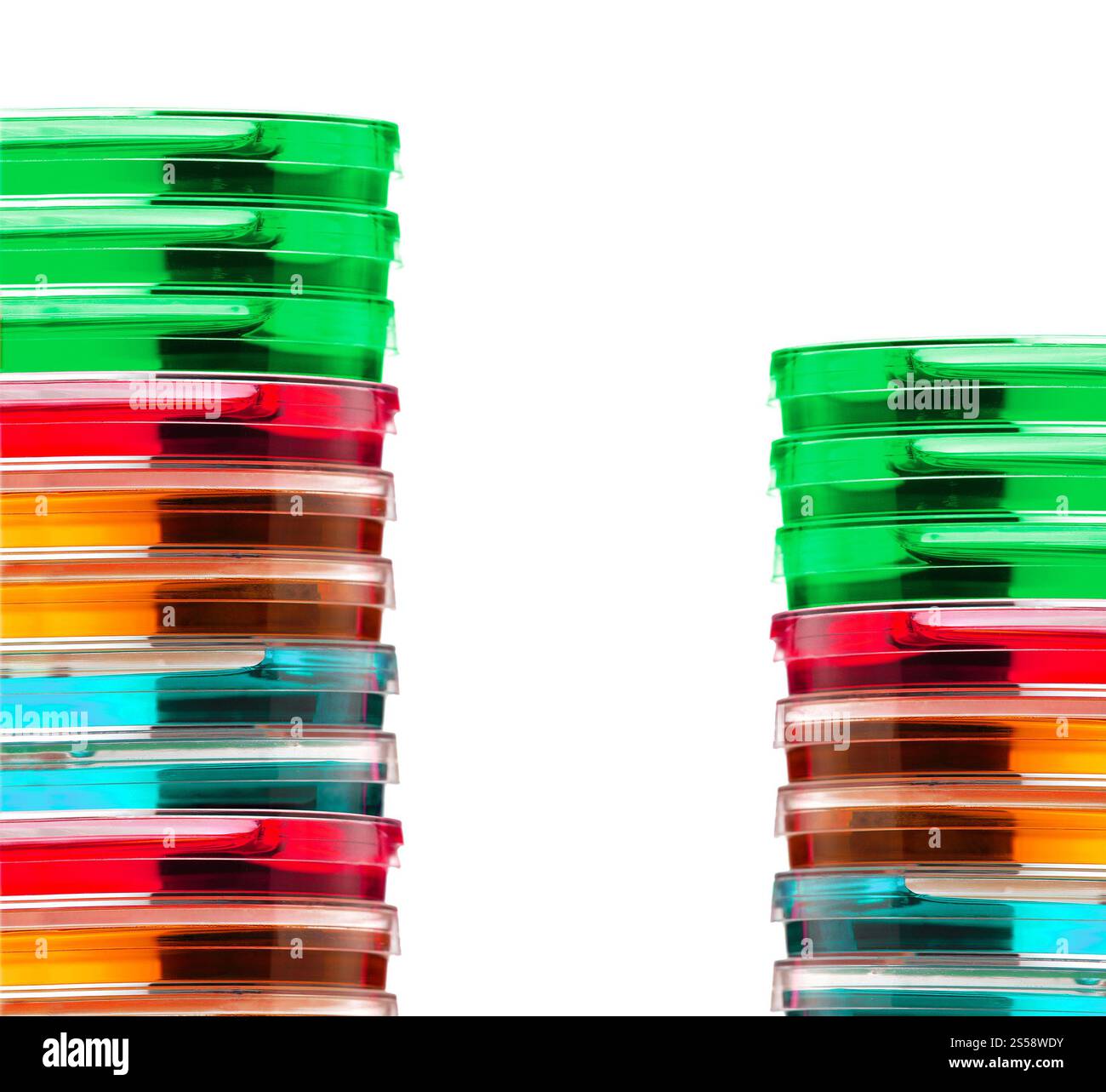 Stack of colorful Petri dishes on white background. Stack of colorful ...