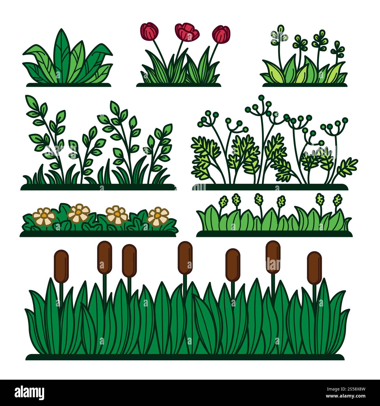 Reed bushes Stock Vector Images - Alamy