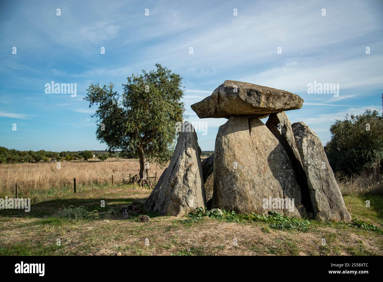 the Megalithic Dolmen of Anat da Vidigueira near the Town of Redondo in ...