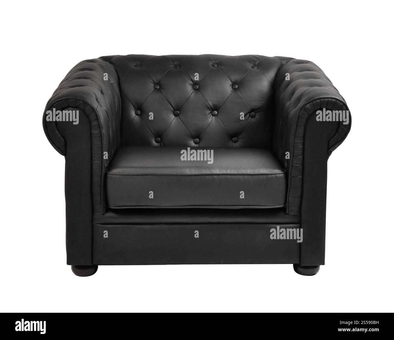 expensive leather arm chair isolated on white background. expensive ...