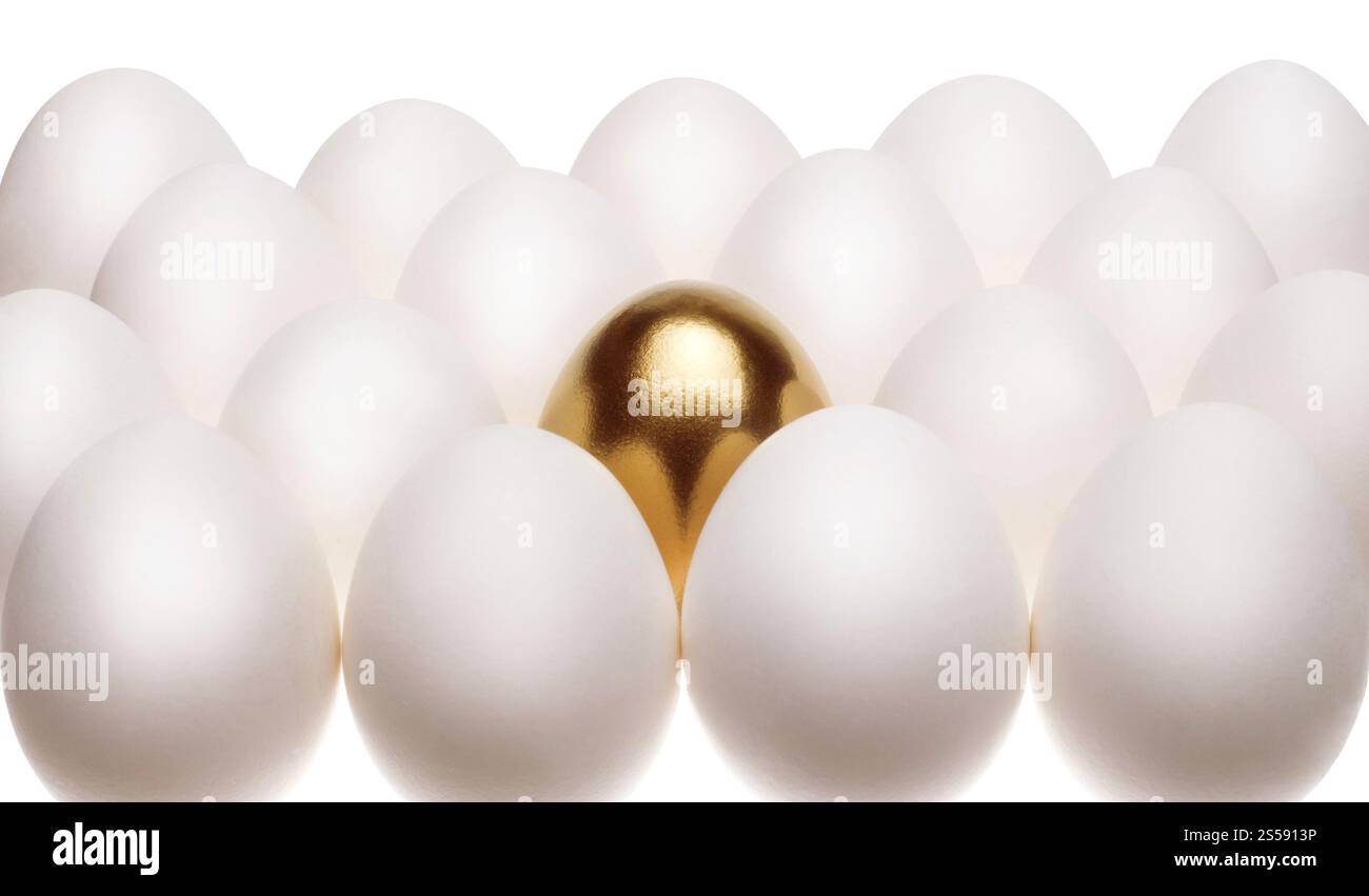 one gold egg lays among common white eggs isolated on white background ...