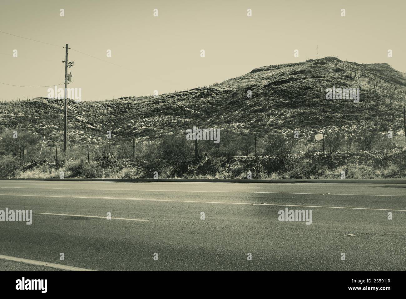 This sepia-toned photograph captures the timeless beauty of the desert ...