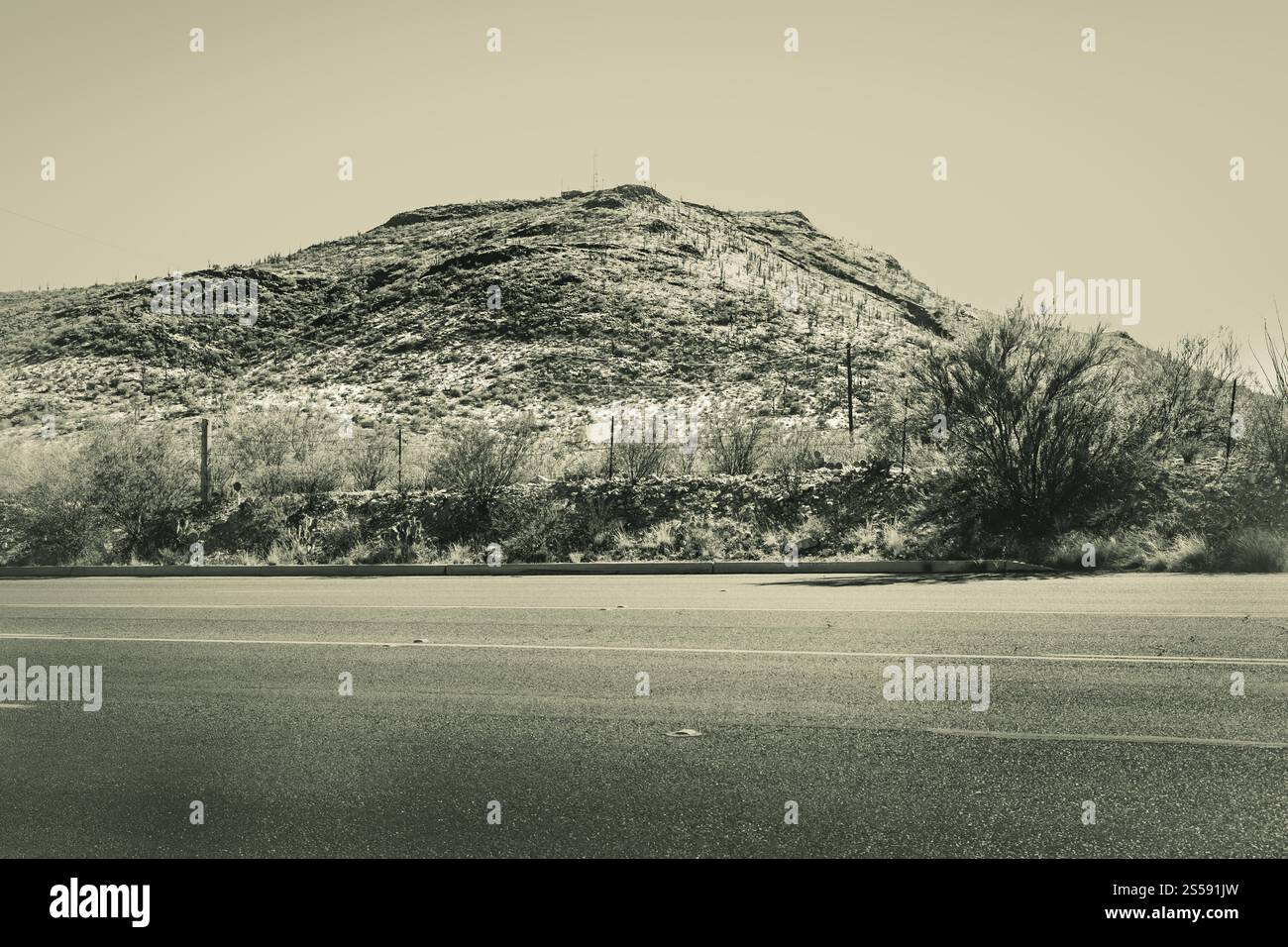 This sepia-toned photograph captures the timeless beauty of the desert ...