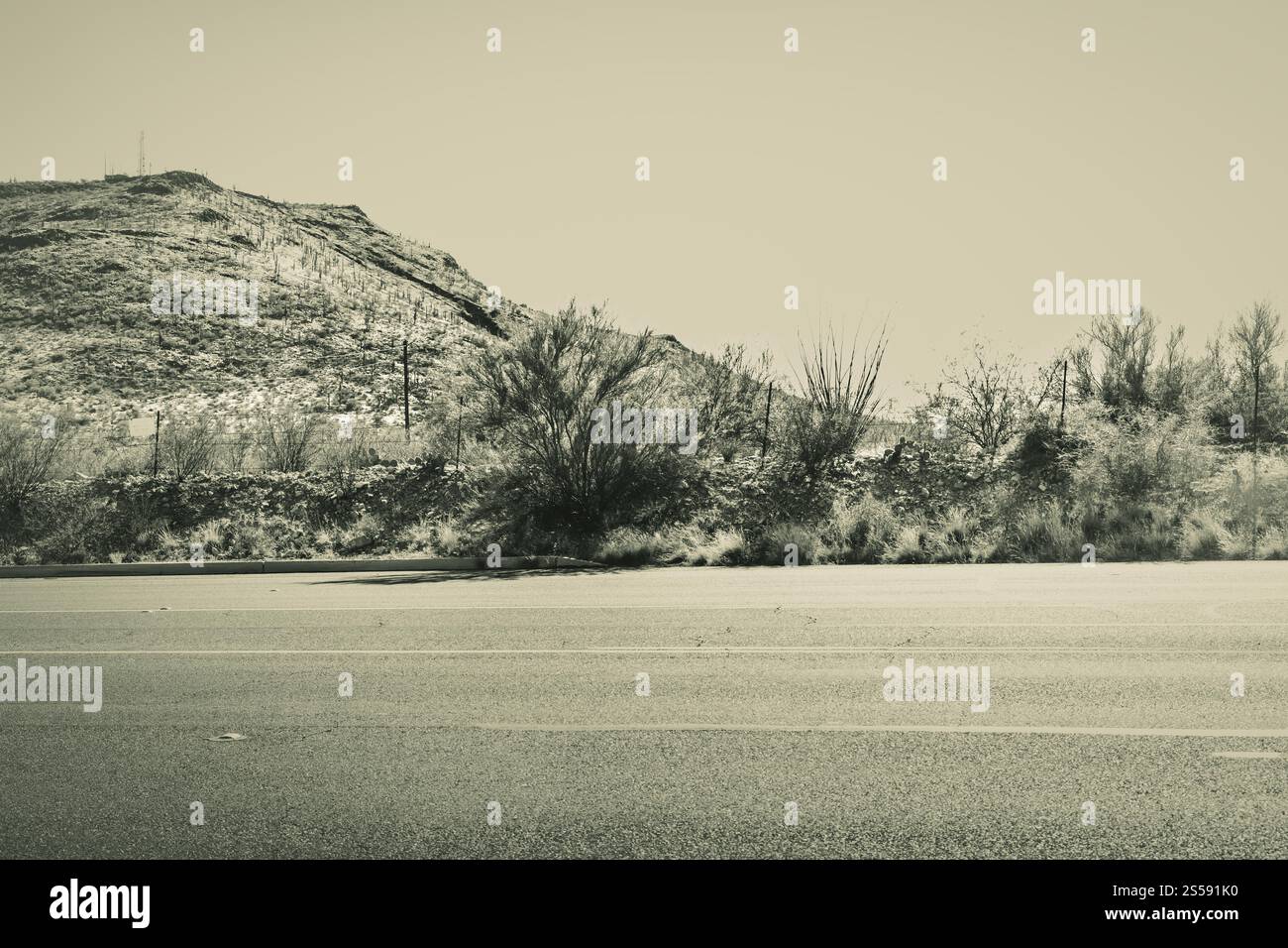 This sepia-toned photograph captures the timeless beauty of the desert ...