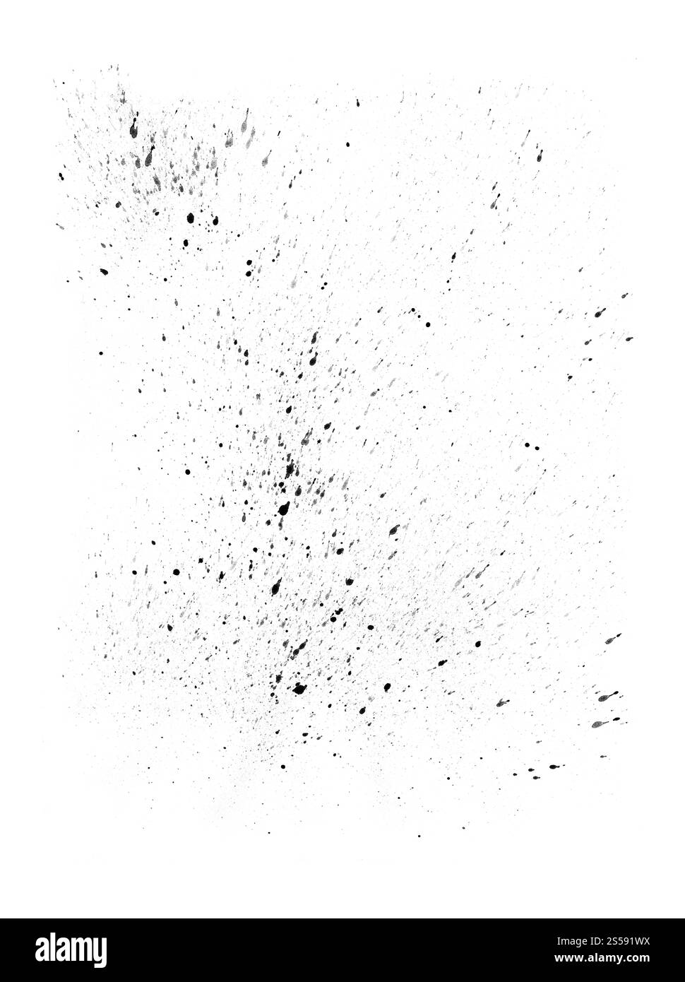 Black ink stains isolated on white background. Can be used as a layer. Black ink stains isolated ...