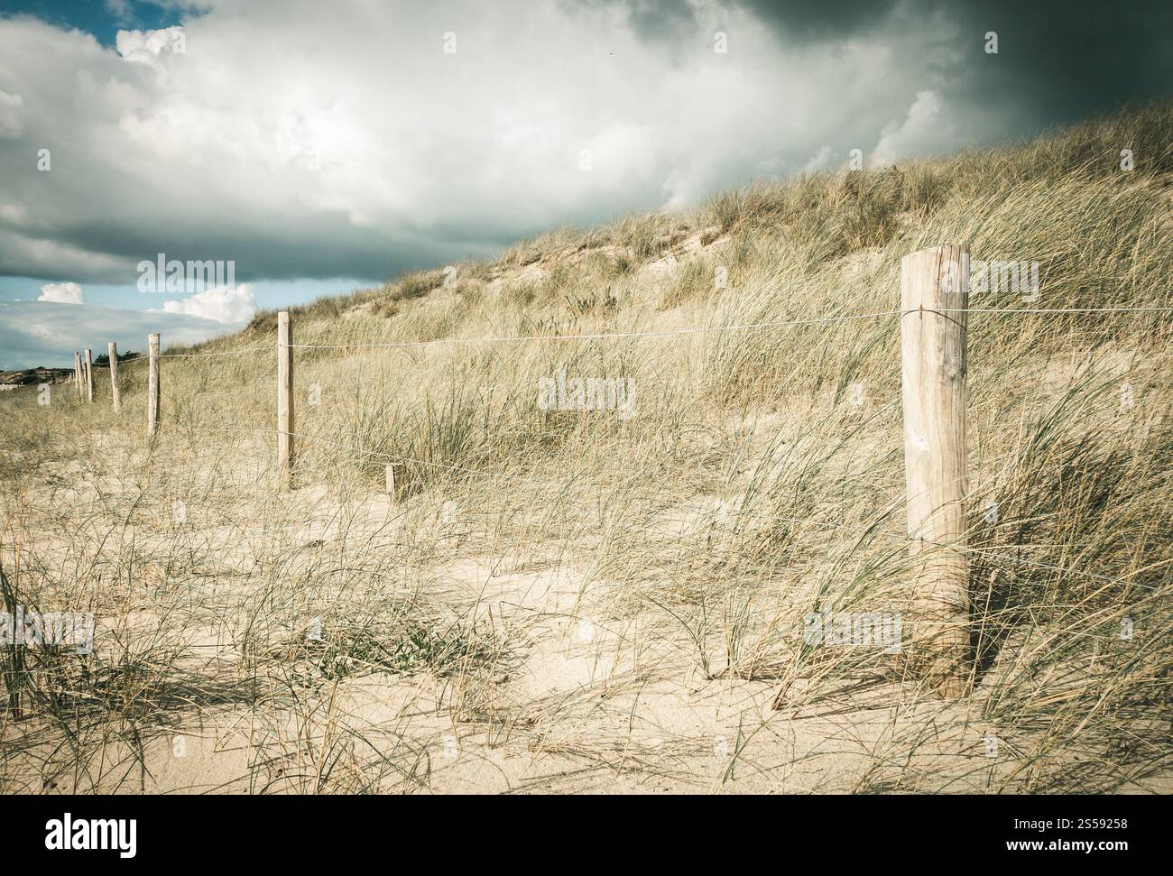 Sand dune and fence on a beach, Re Island, France. Cloudy background ...